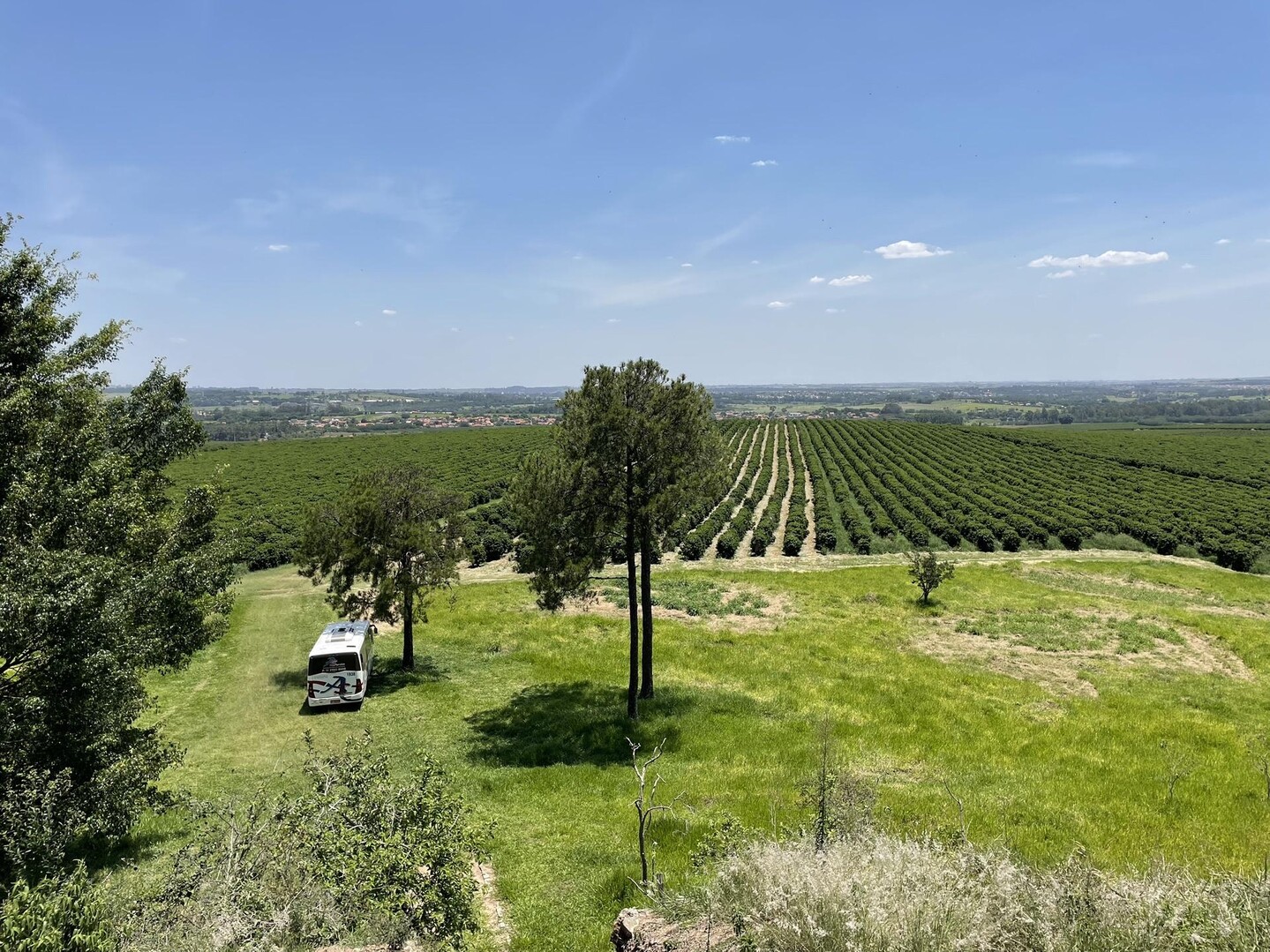 東山農場ツアー / HASEさんのウォーキングの活動データ | YAMAP / ヤマップ