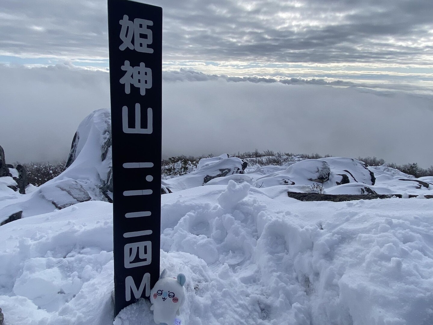 姫神山 / arataさんの姫神山の活動データ | YAMAP / ヤマップ