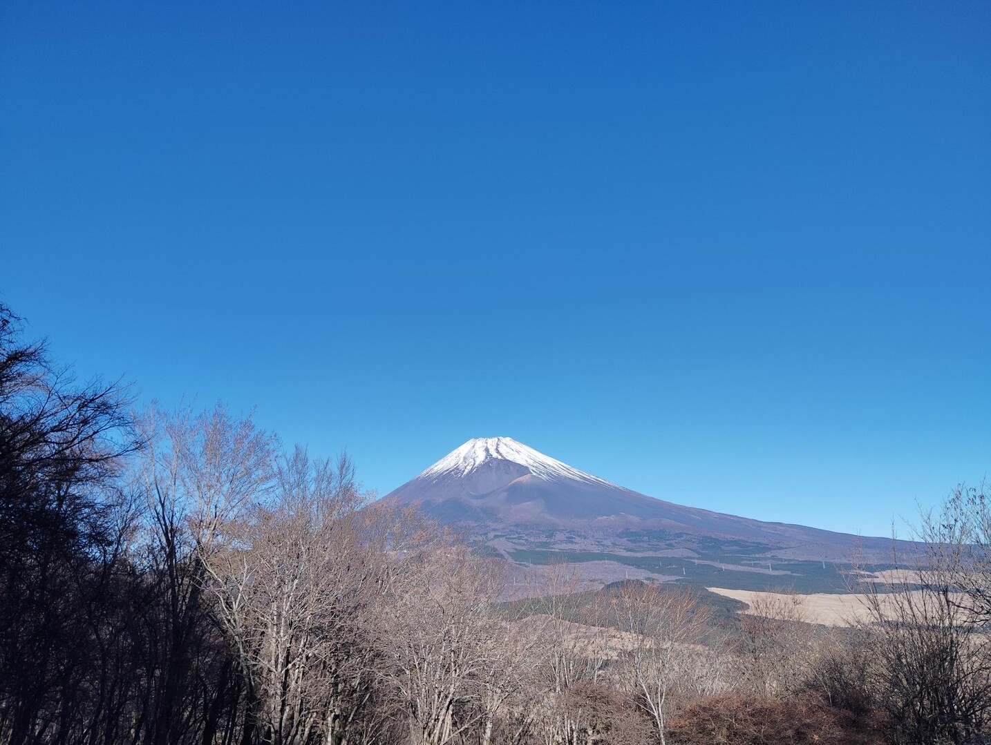 黒岳・越前岳・呼子岳 / タキオンさんのFUJISAN LONG TRAIL（愛鷹・富士南麓エリア SOUTH）の活動データ | YAMAP / ヤマップ