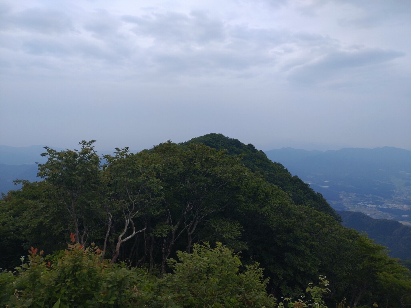 冠山 / VDGGさんの冠山（石見冠山）の活動データ | YAMAP / ヤマップ