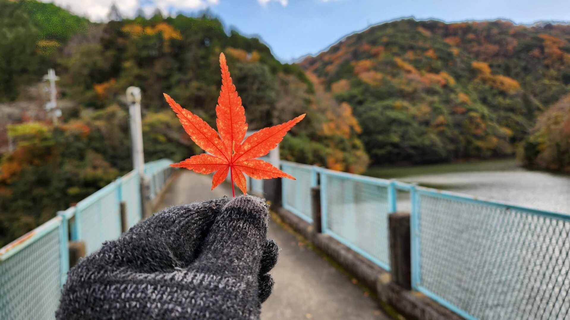 雲山峰・地蔵山 / しんNGさんの紀泉アルプス・飯盛山・ボンデン山の活動日記 | YAMAP / ヤマップ