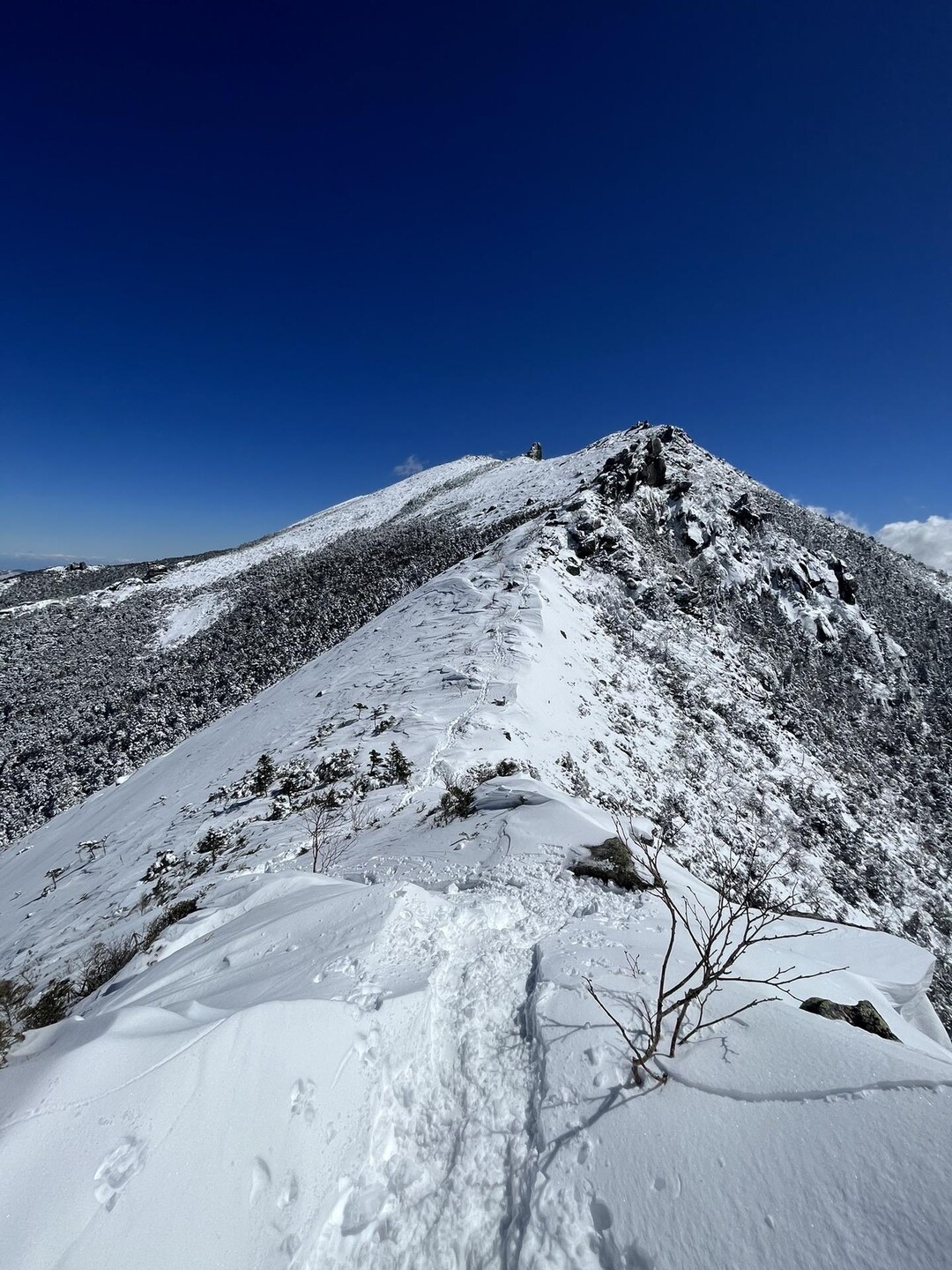 快晴の金峰山で敗退 / うえだ24さんの瑞牆山・金峰山の活動データ | YAMAP / ヤマップ