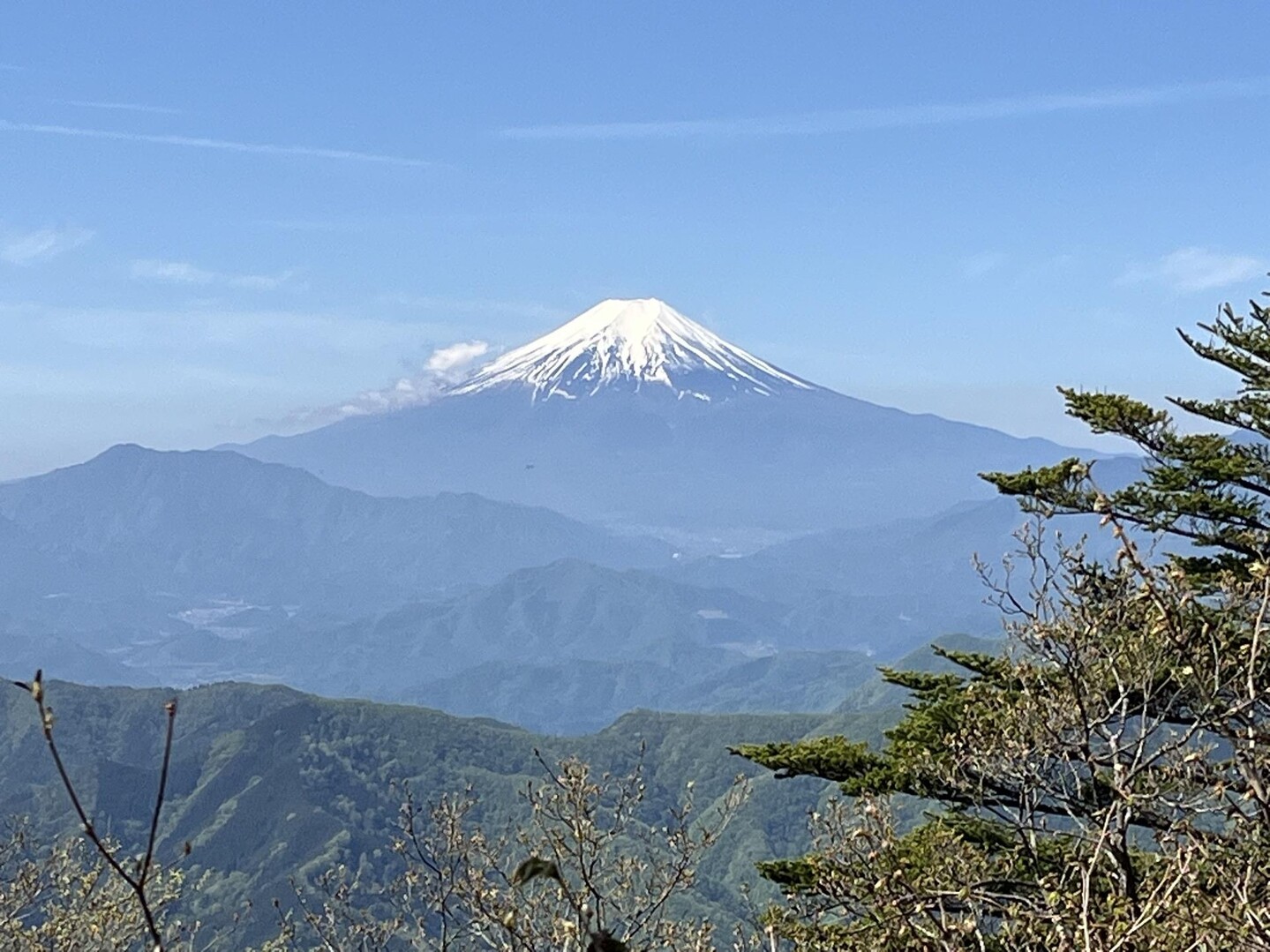 三頭山〜惣岳山〜御前山〜鋸山縦走やってみた / katsu-uさんの三頭山・槇寄山・土俵岳の活動データ | YAMAP / ヤマップ