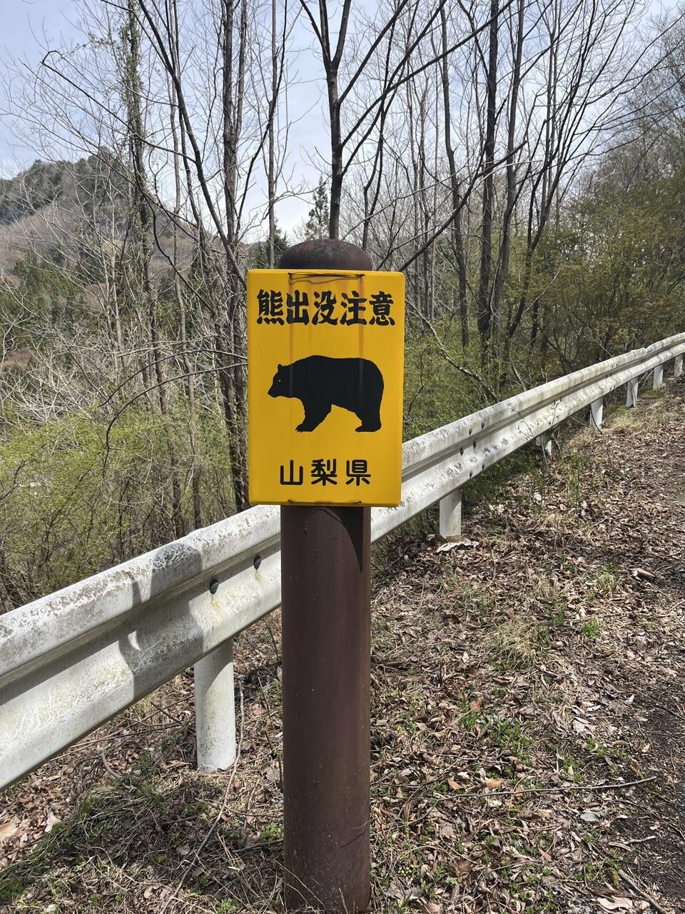 Emilyのページ | YAMAP / ヤマップ