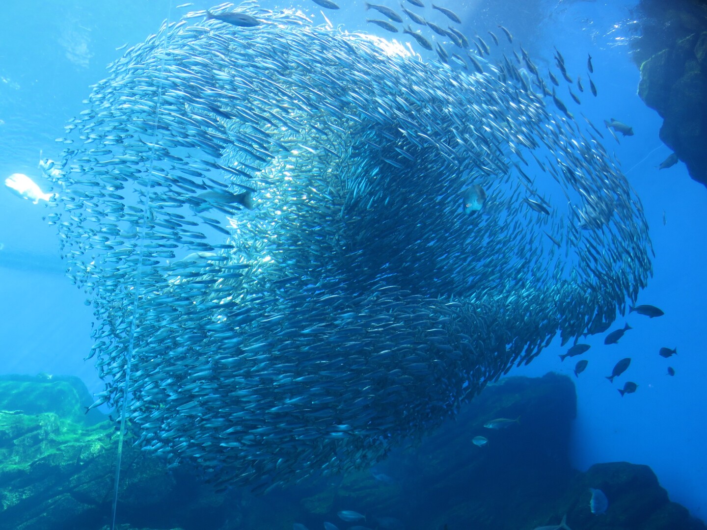 2021.04.19(月) 22:12 / ケロケロ🐸🐸🐸さんのモーメント | YAMAP / ヤマップ