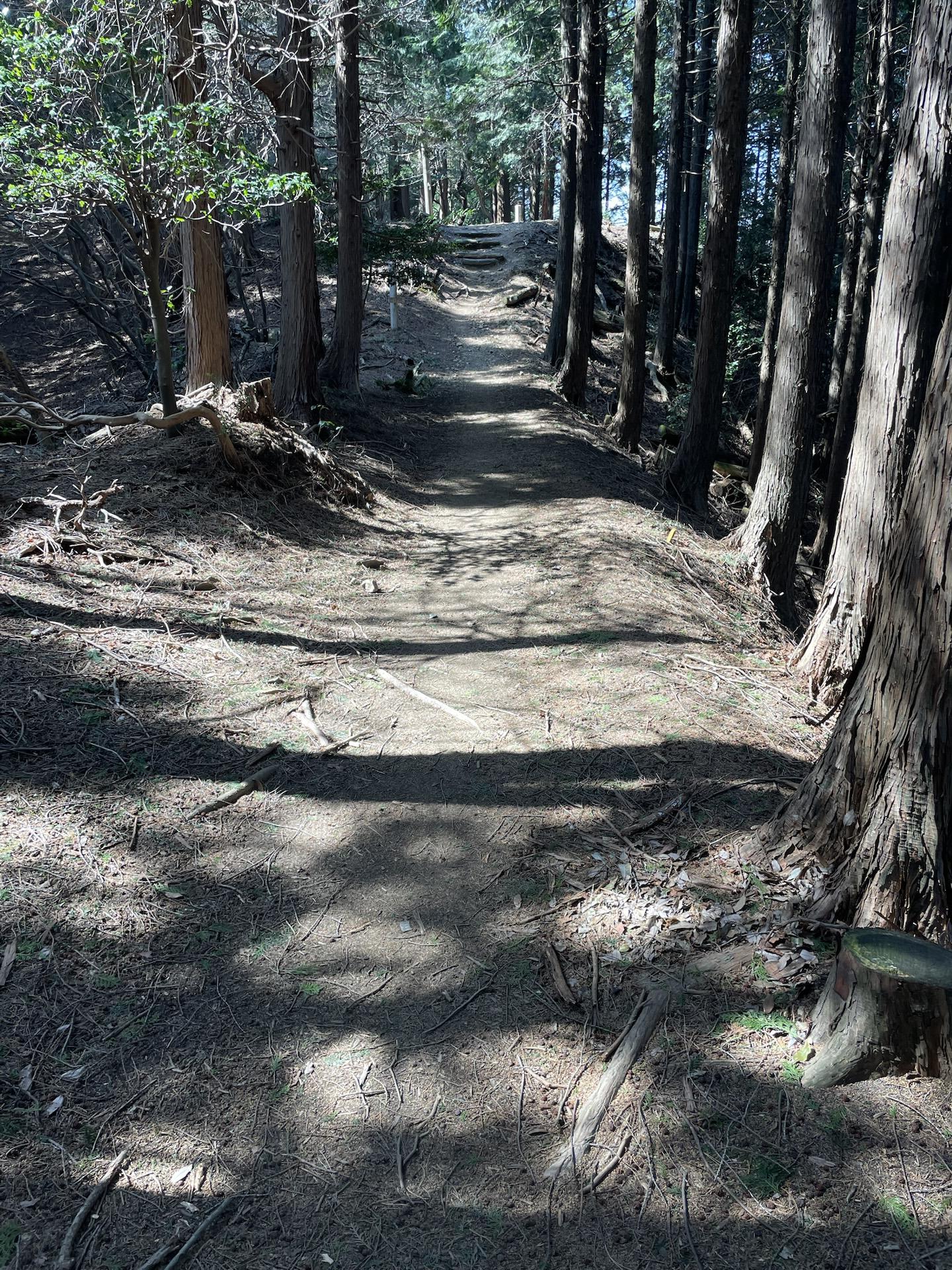 石津御嶽 / ATSUSHI HIGUCHIさんの多度山・美濃松山・石津御嶽の活動日記 | YAMAP / ヤマップ