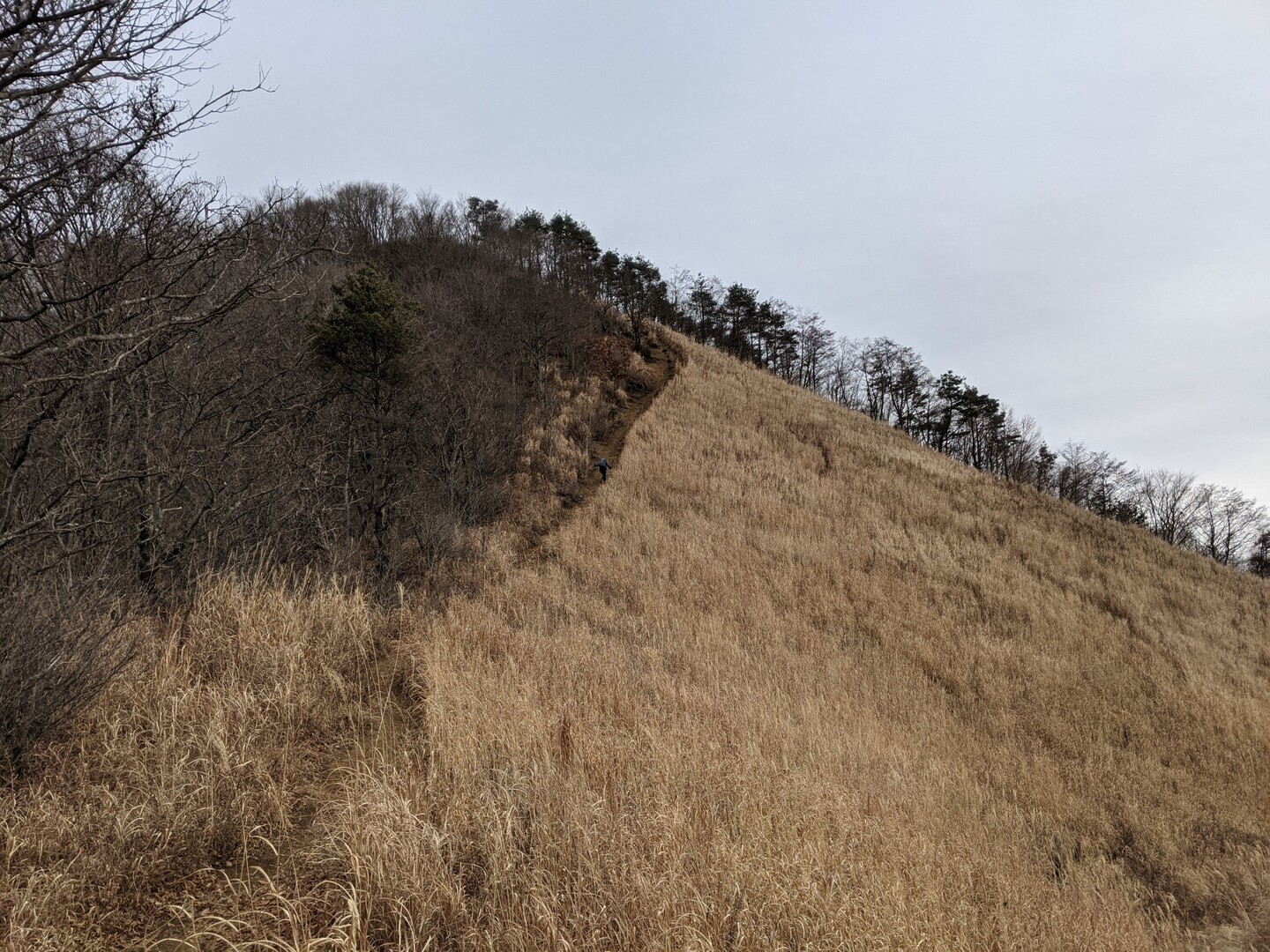 nicomomoさんの投稿したフィールドメモ | YAMAP / ヤマップ