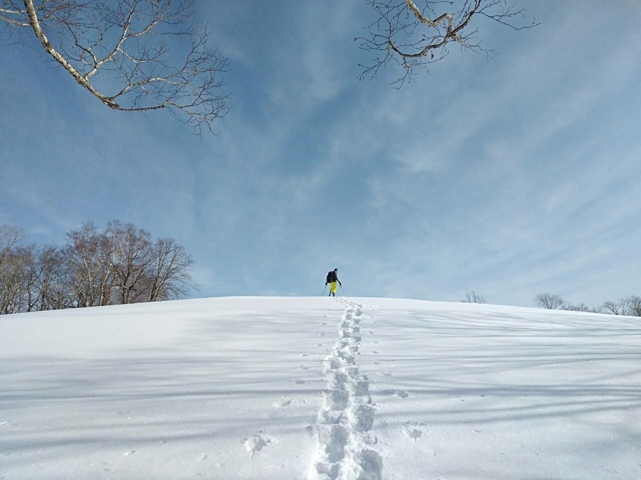 丹鳴尾山・鳴尾山・丹鳴岳 / タイガースさんの支笏湖の活動データ | YAMAP / ヤマップ