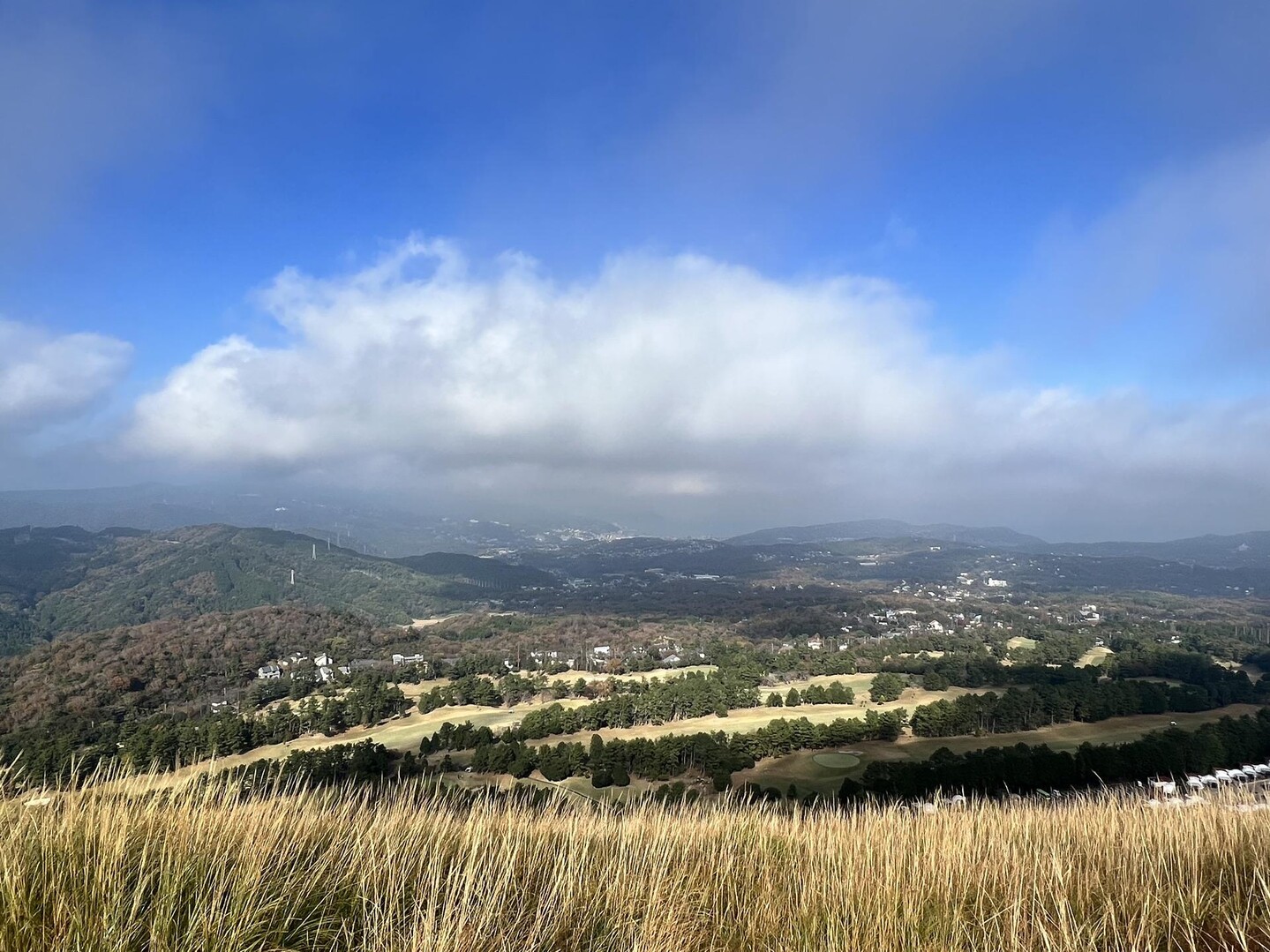 残念。霧の大室山 / aryuaryuさんの大室山の活動データ | YAMAP / ヤマップ