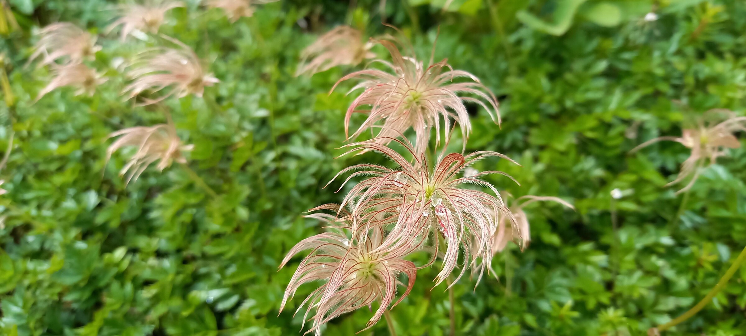 akoh_jiのページ | YAMAP / ヤマップ