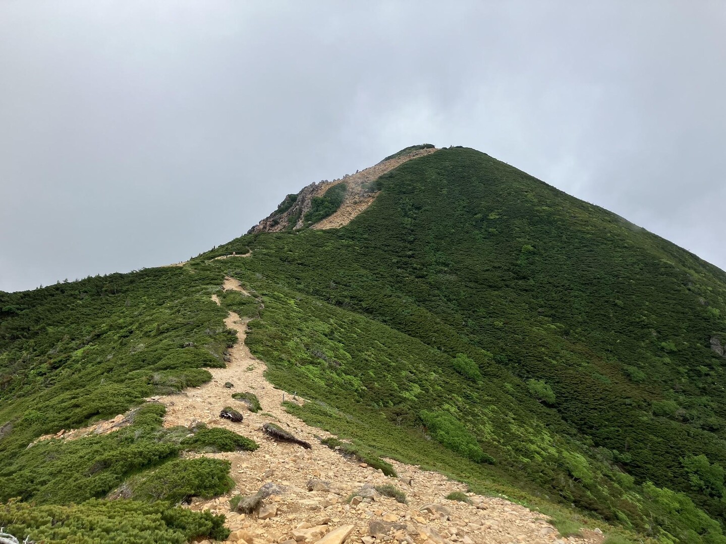20240713 天狗岳（西天狗岳）・東天狗岳 / kaorinさんの八ヶ岳（赤岳・硫黄岳・天狗岳）の活動データ | YAMAP / ヤマップ