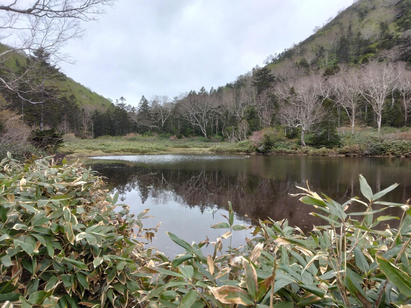 黒姫山 / LEOさんの黒姫山の活動データ | YAMAP / ヤマップ