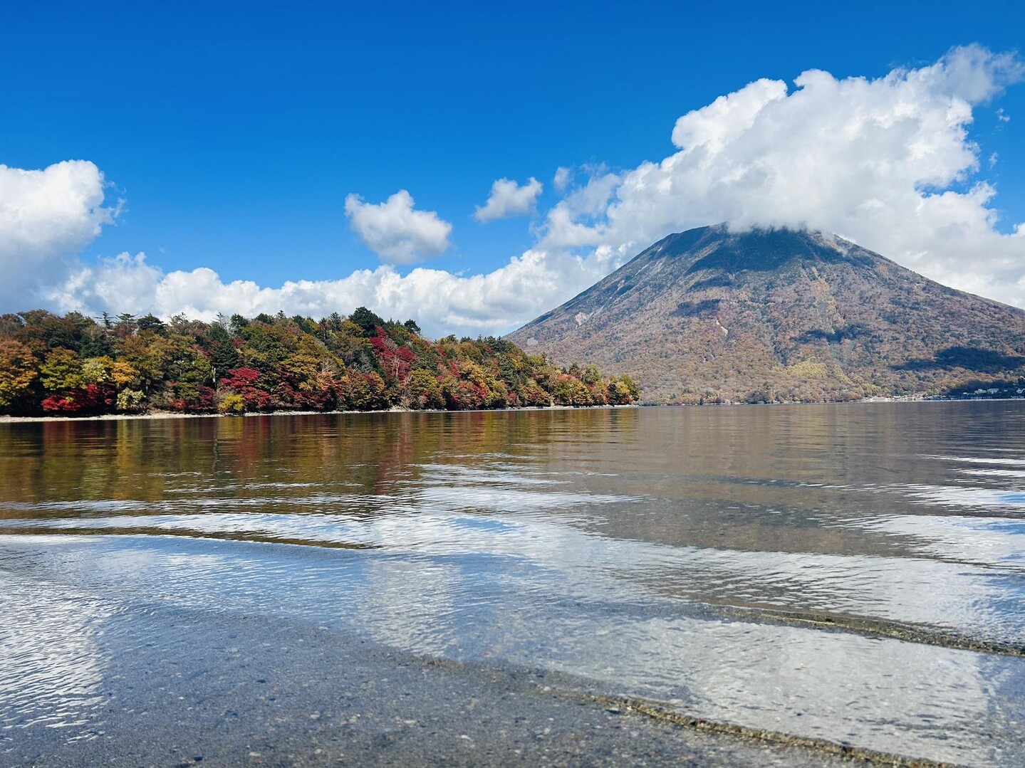 半月山 / m. hiroさんの社山・半月山の活動データ | YAMAP / ヤマップ