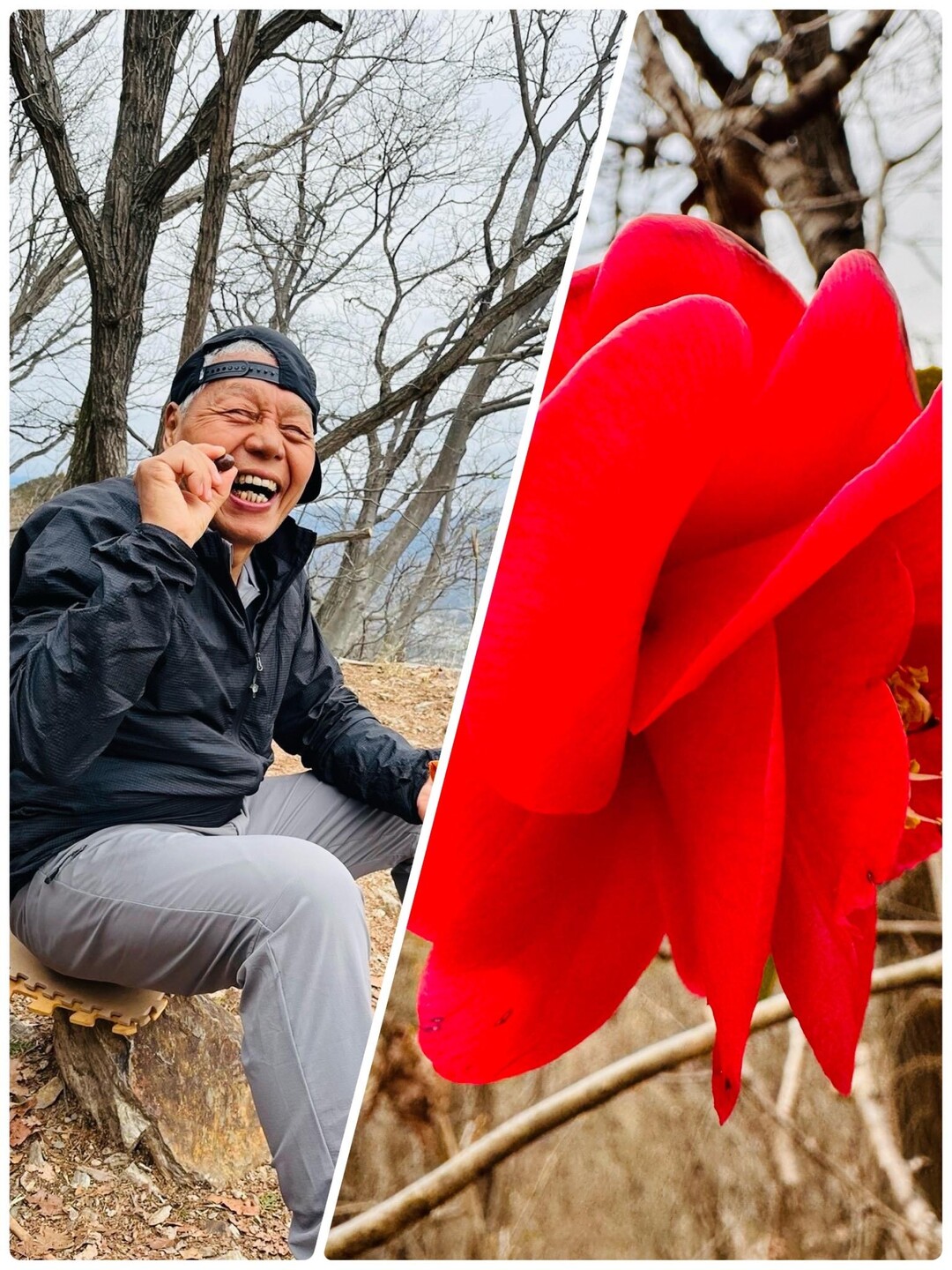 曇天☁️昼下りの 吾妻山⛰️ / ｺﾖｩﾃ(coyote)さんの鳴神山・吾妻山の活動データ | YAMAP / ヤマップ