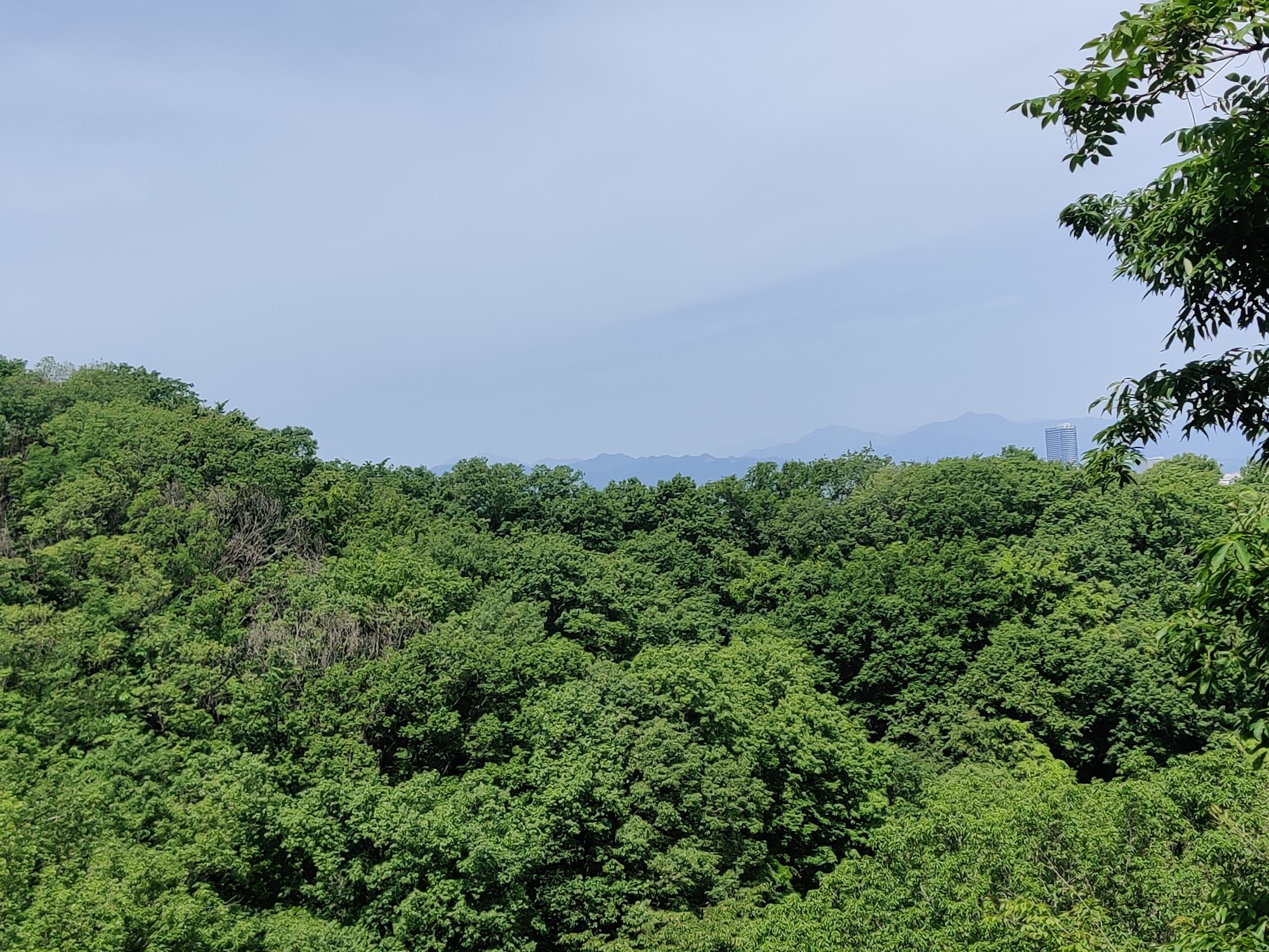 長沼公園 / odanさんの八王子市の活動日記 | YAMAP / ヤマップ