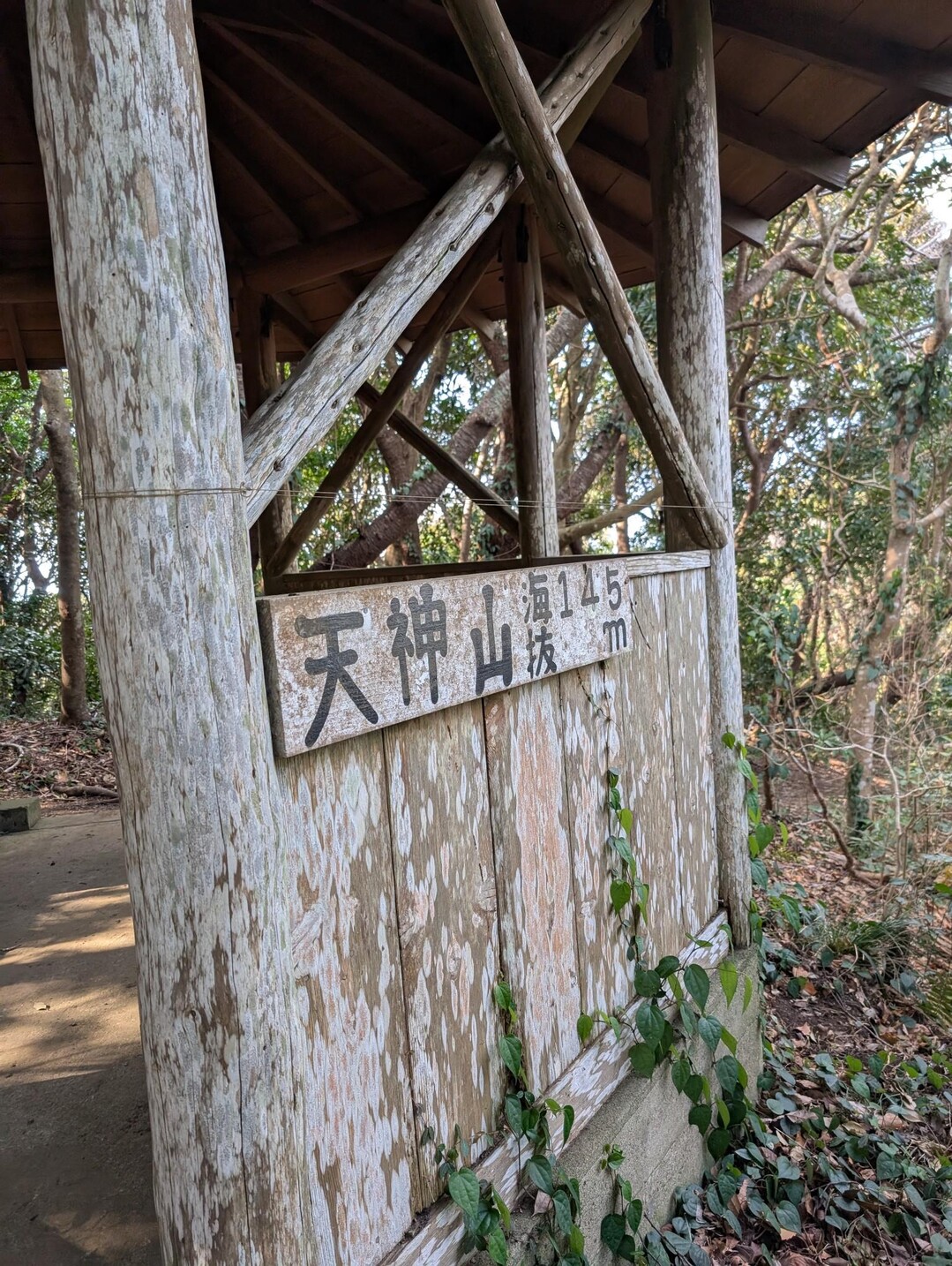 天神山 / souさんの館山市の活動データ | YAMAP / ヤマップ