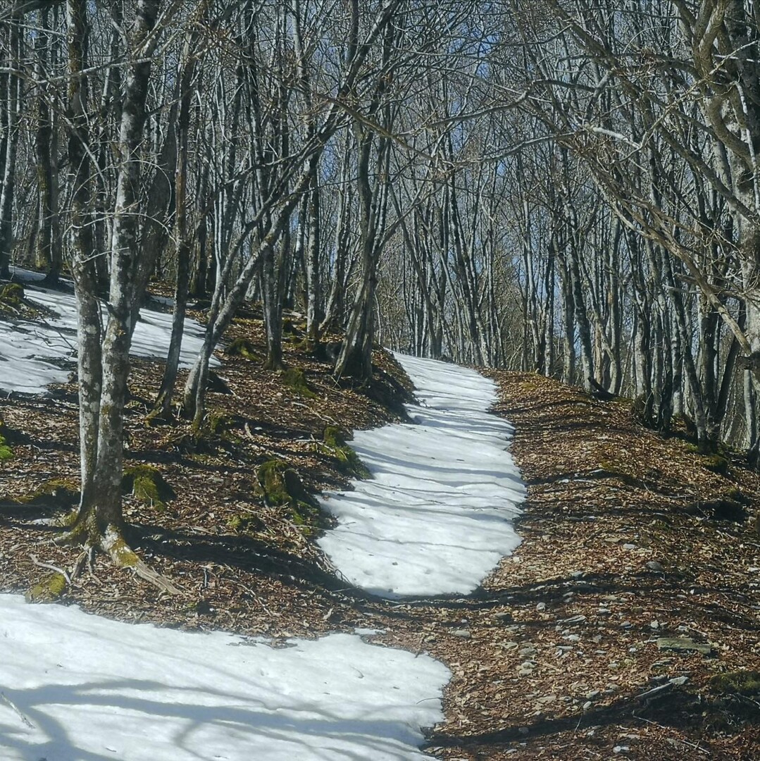 ぐるりと風呂塔を回りました / ta.hayaさんの矢筈山・黒笠山の活動日記 | YAMAP / ヤマップ