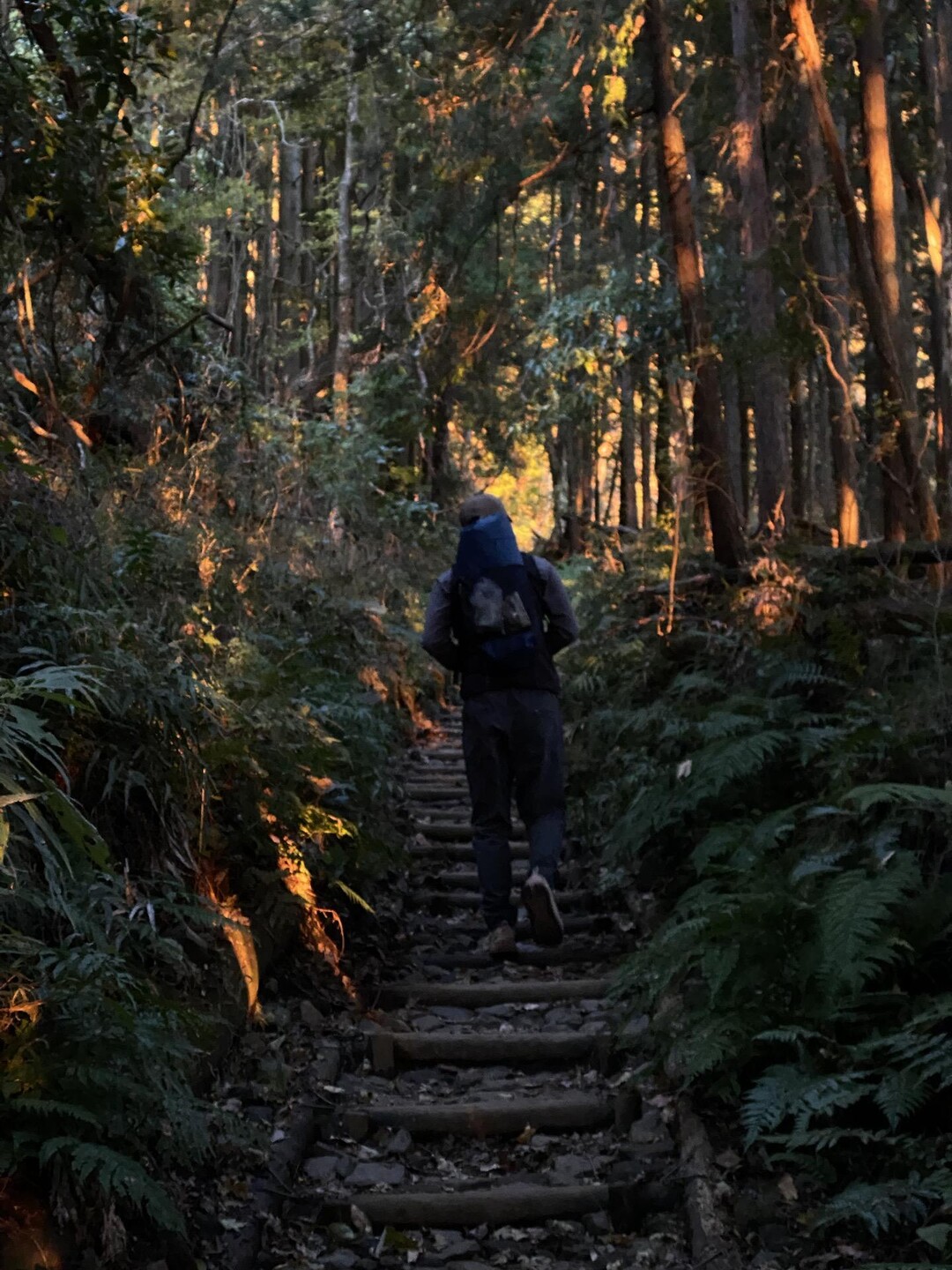 塔ノ岳・丹沢山 / Kaoruさんの塔ノ岳・丹沢山・蛭ヶ岳の活動データ | YAMAP / ヤマップ