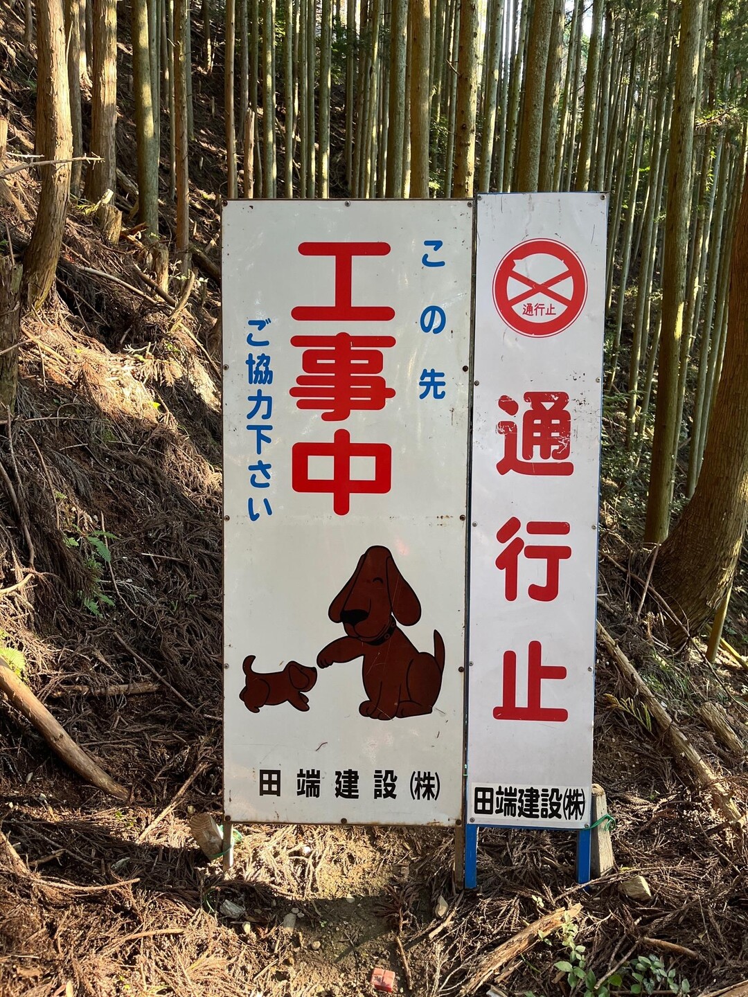 おふささんの投稿したフィールドメモ | YAMAP / ヤマップ