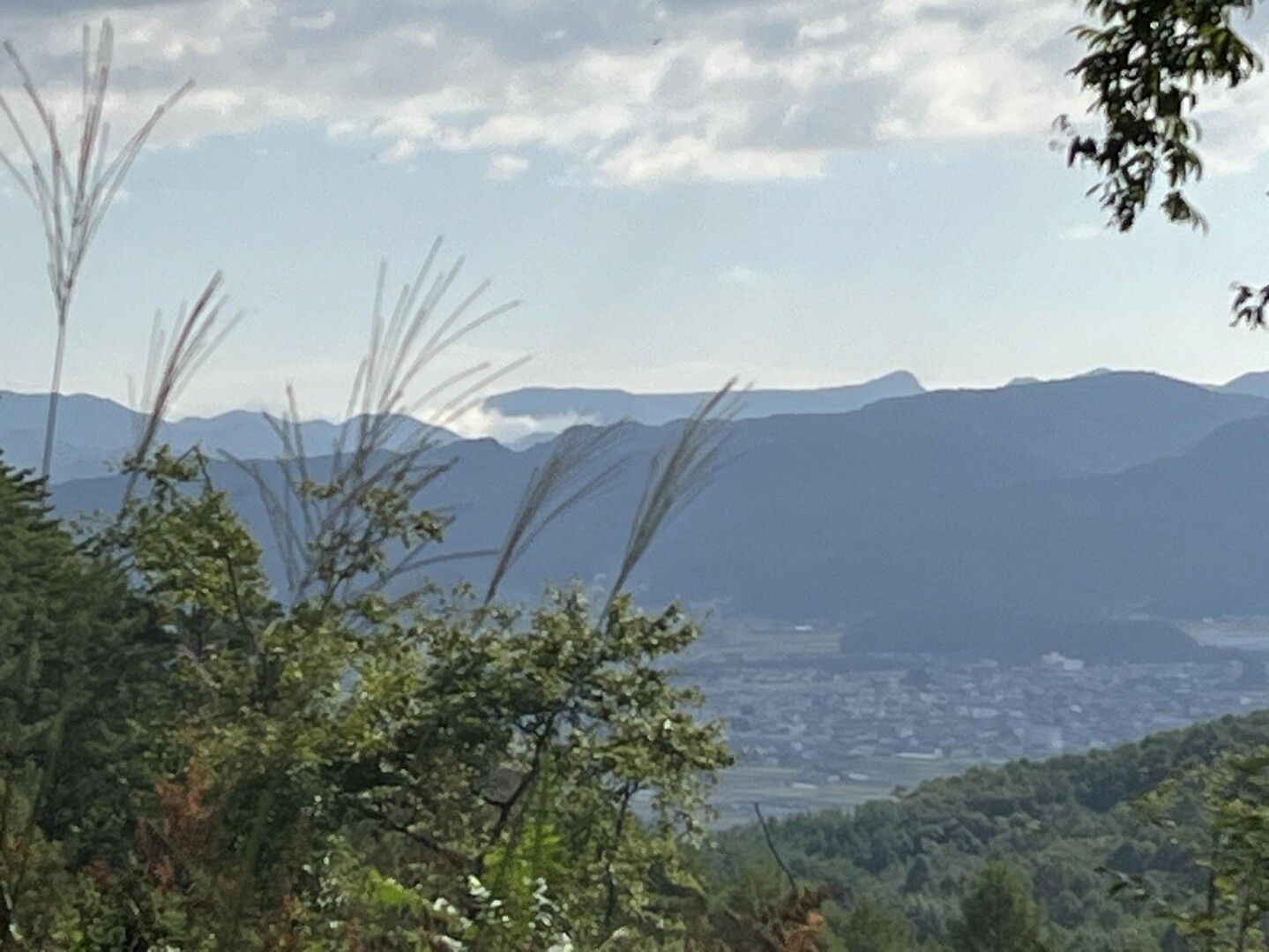 虚空蔵山 / おのきょうPHさんの虚空蔵山の活動データ | YAMAP / ヤマップ