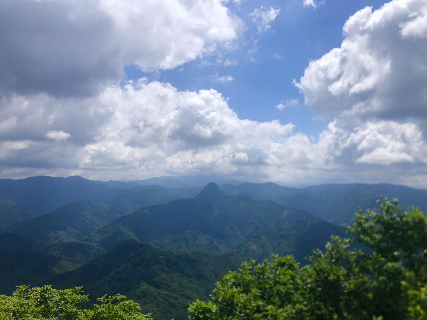 あれはnipple？いやbreastだ！ / Naluさんの天蓋山の活動データ | YAMAP / ヤマップ