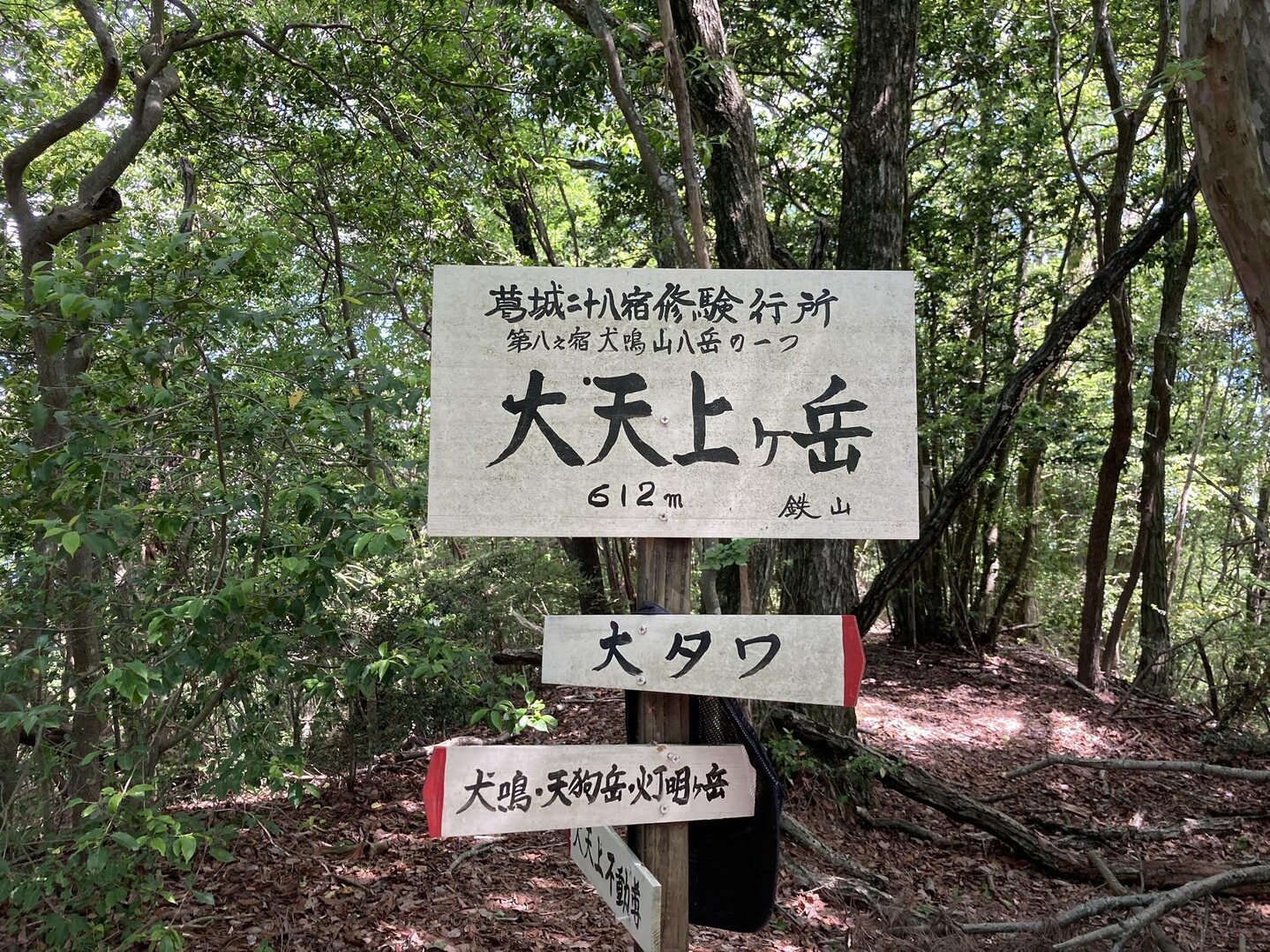 大天上ヶ岳・経塚権現山・（天狗魔王岳） / maecciさんの葛城修験エリアマップ（友ヶ島～和泉山脈周辺）の活動データ | YAMAP / ヤマップ