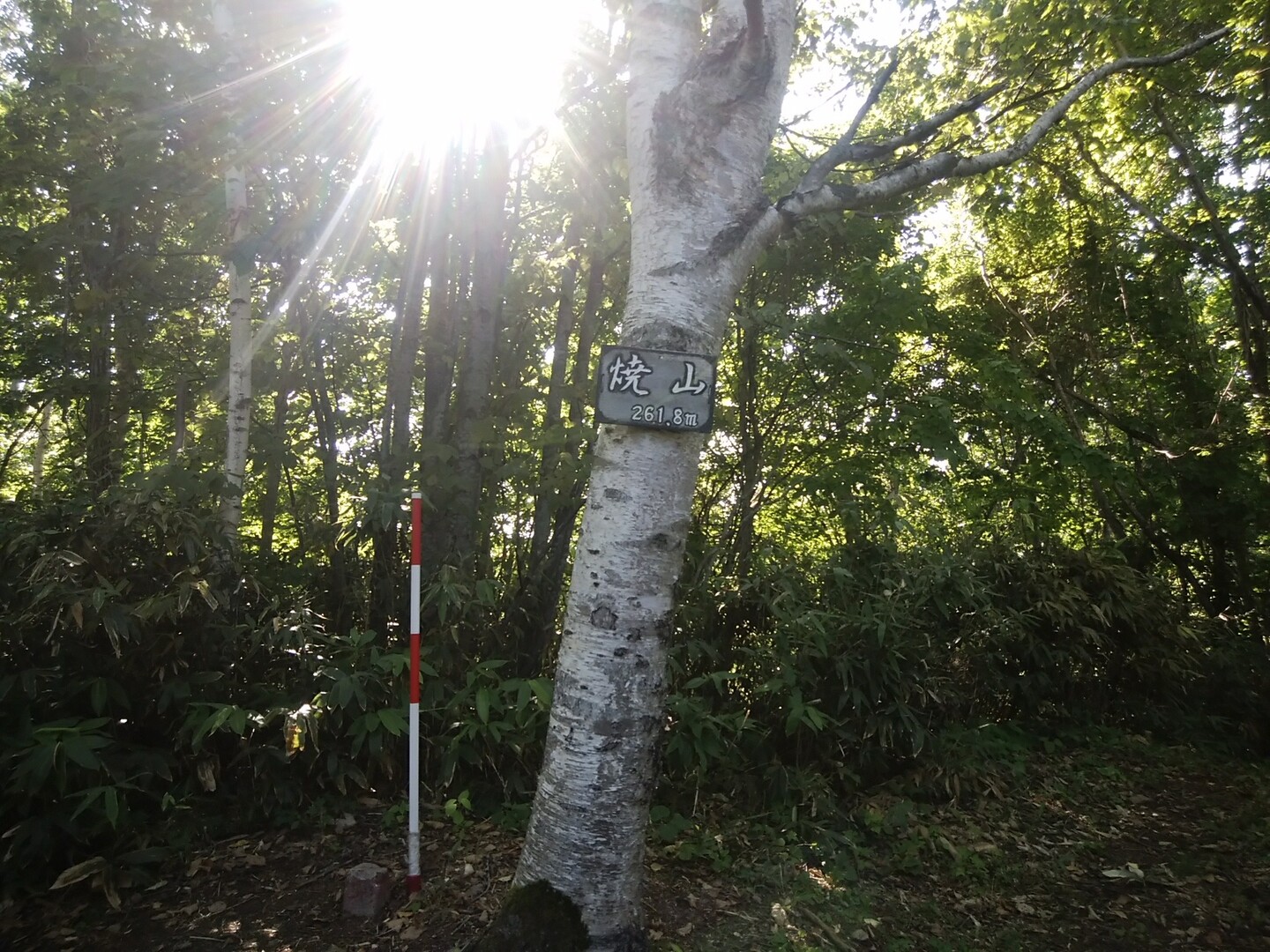 焼山 / kami415さんの白旗山の活動データ | YAMAP / ヤマップ