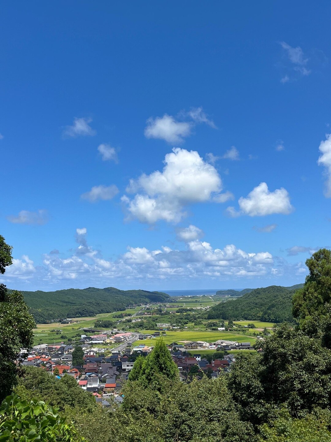 鹿野城跡 / Shi Roさんの鷲峰山の活動データ | YAMAP / ヤマップ