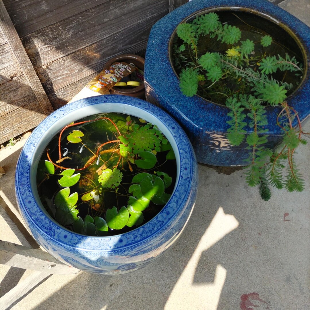 海と日本PROJECT eスポGOMI ... / hiroe.takahacさんのモーメント | YAMAP / ヤマップ