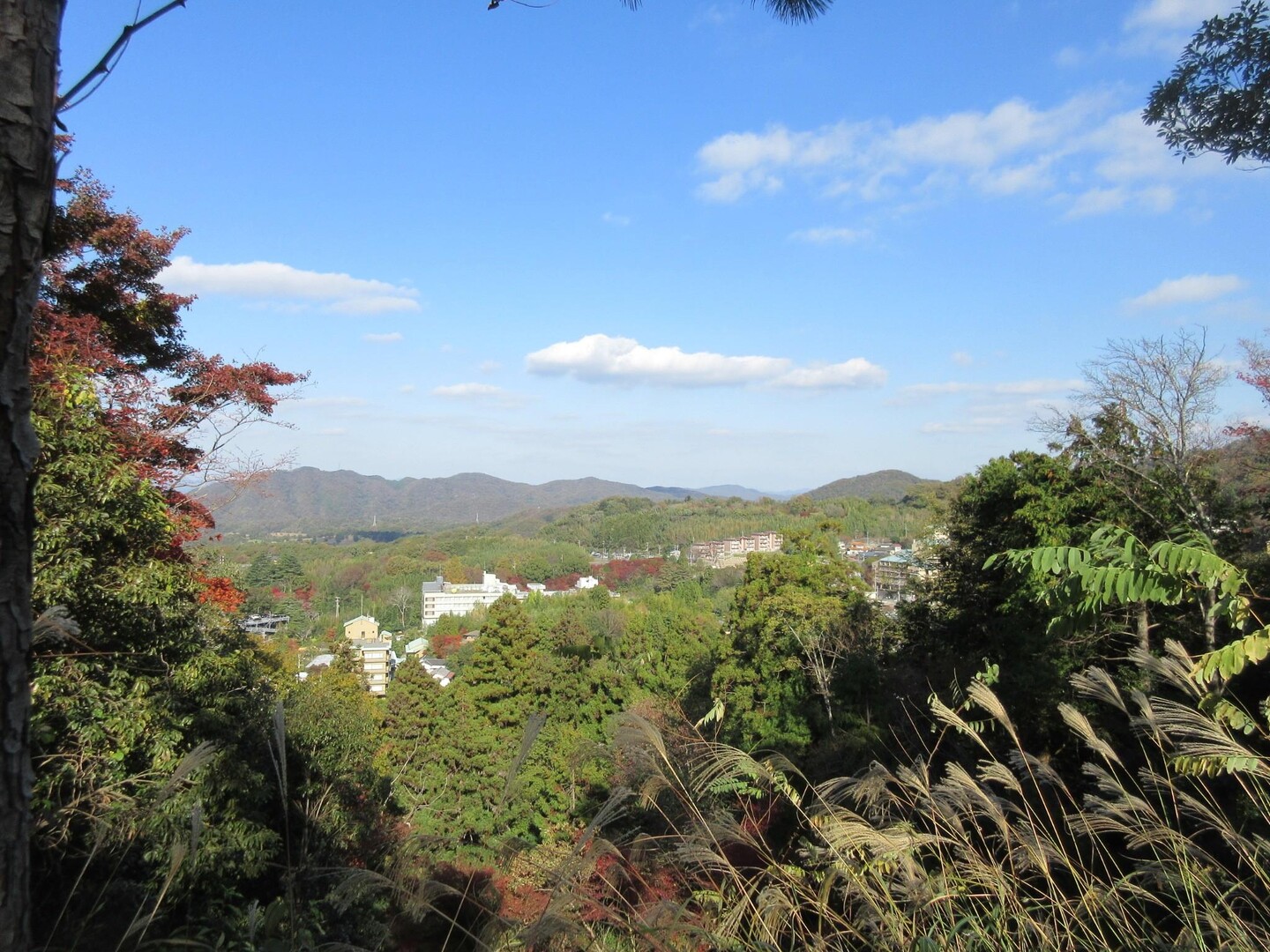 六甲山最高峰 ・愛宕山 / kazzさんの六甲山・長峰山・摩耶山の活動データ | YAMAP / ヤマップ