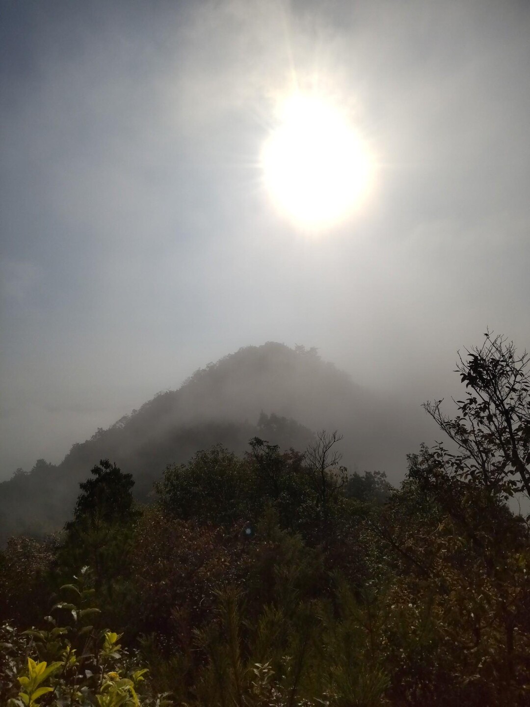 布施山モーニング / Mt.OKA🎃さんの雪野山・布施山・瓶割山の活動日記 | YAMAP / ヤマップ