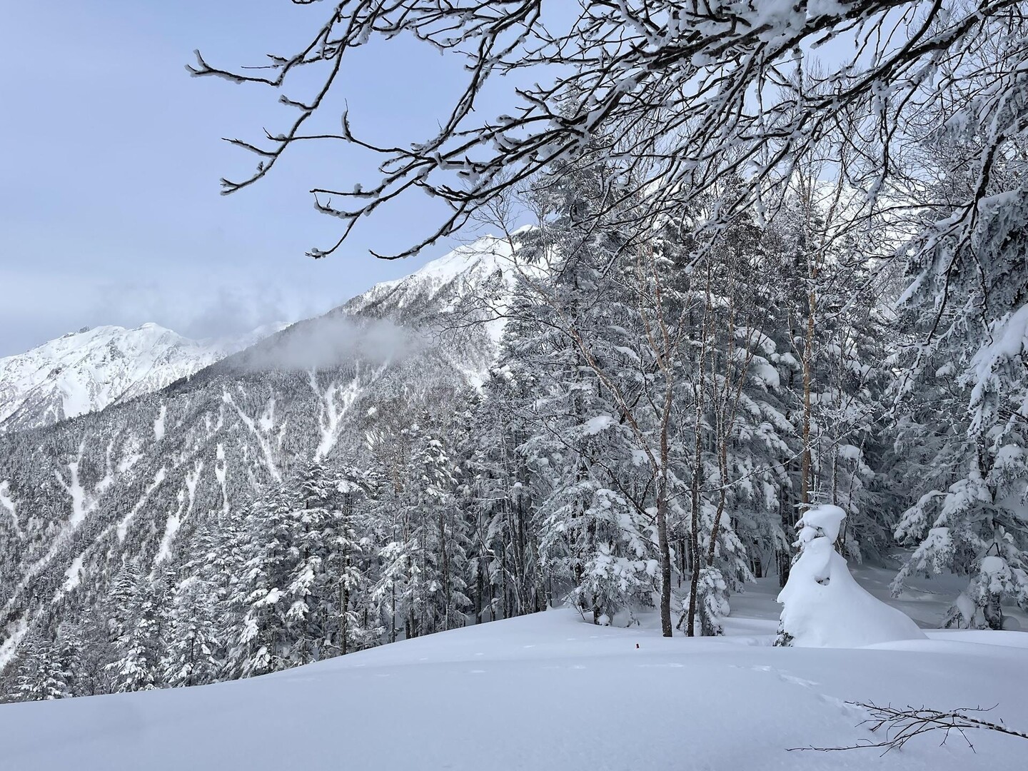 初めてづくしの西穂丸山・西穂独標 / NAtsuさんの槍ヶ岳・穂高岳・上高地の活動データ | YAMAP / ヤマップ