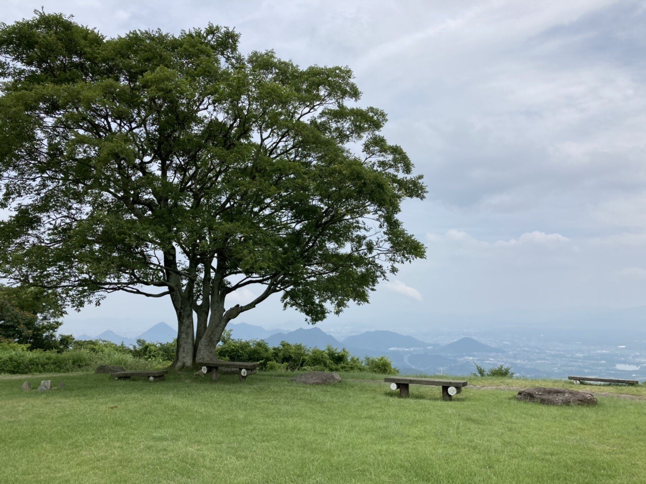 城山 南ルート-2021-07-04 / tairaさんのウォーキングの活動データ | YAMAP / ヤマップ