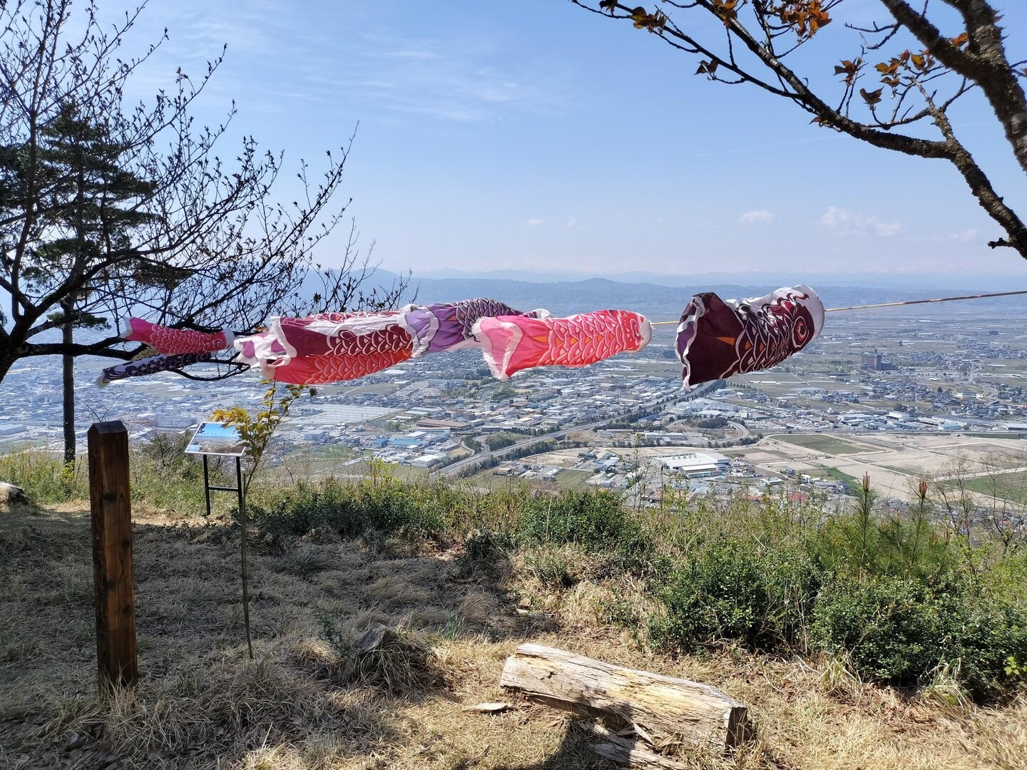 大岡山 / bluesさんの大岡山・小菰石山の活動データ | YAMAP / ヤマップ