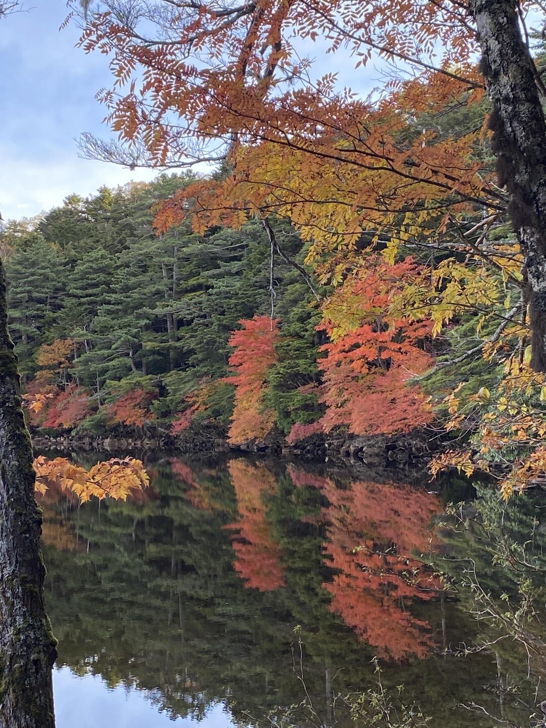 Mugikusa Toge Shirakoma Ike Nyu Naka Takamiishi Maru / Patさんの蓼科山・横岳・縞枯山の活動データ | YAMAP / ヤマップ