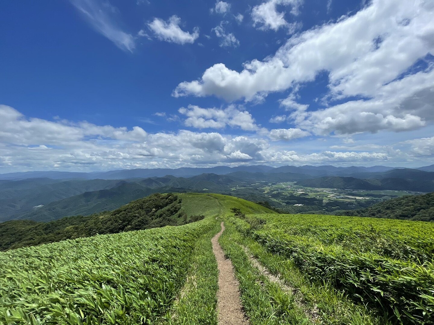 下→中→上→中→下蒜山 / なべ(ワンゲルOB)さんの蒜山の活動データ | YAMAP / ヤマップ