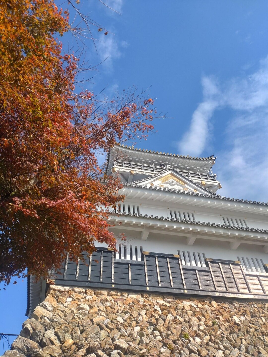 金華山 / はるさんの金華山・洞山・舟伏山の活動データ | YAMAP / ヤマップ