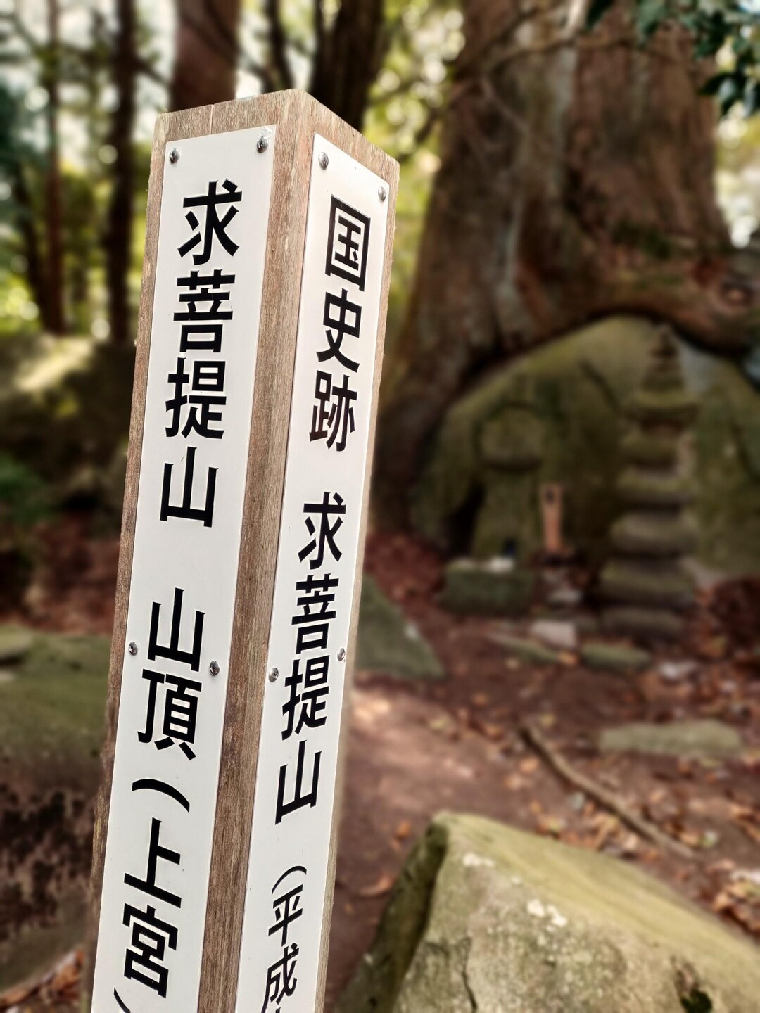 求菩提山ぐるっと🗿6/7座🥗🚀 / sol.さんの犬ヶ岳・求菩提山の活動データ | YAMAP / ヤマップ