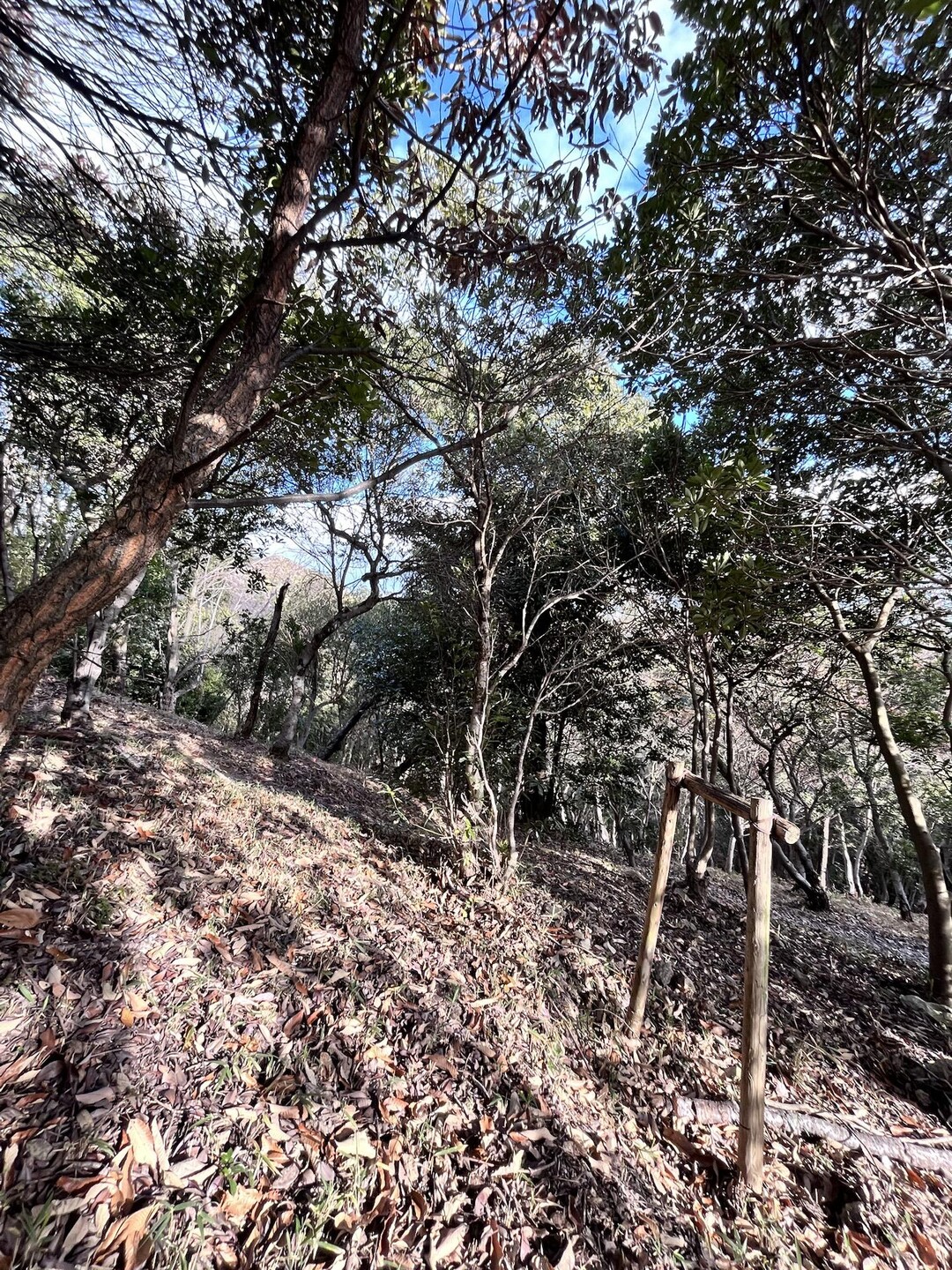 サクッと播磨アルプスショートカット / iku araiさんの高御位山・播磨アルプスの活動データ | YAMAP / ヤマップ