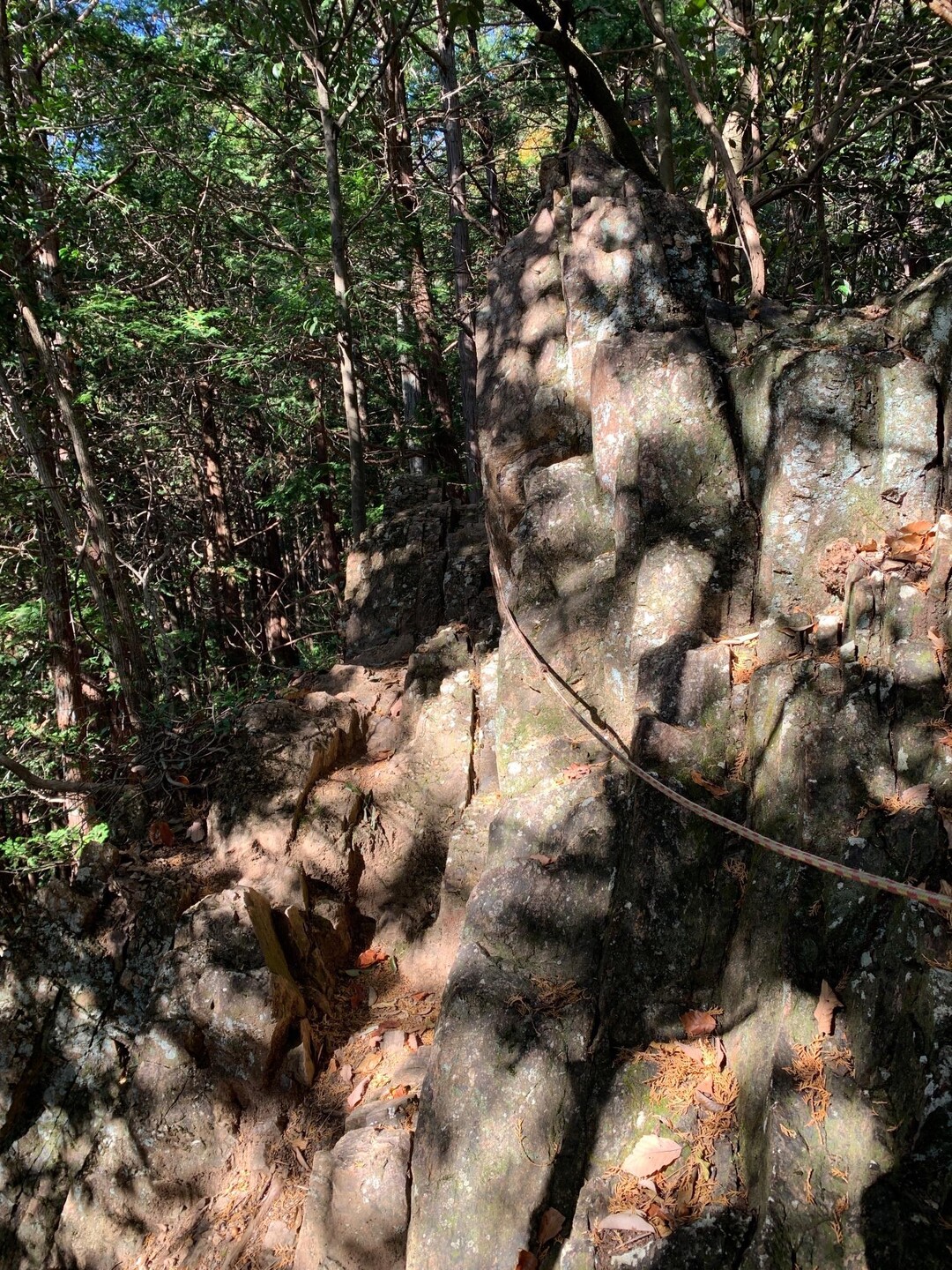 ぶんさんの投稿したフィールドメモ | YAMAP / ヤマップ