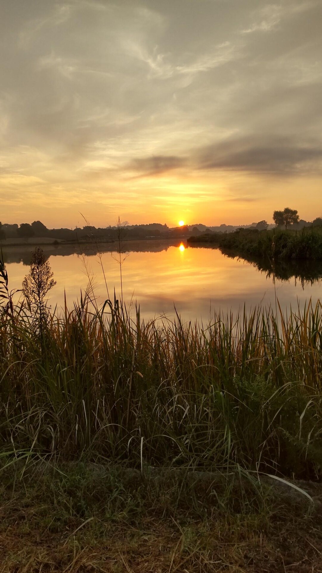 鶴沼山 9/17 / toshiさんの霞ヶ浦の活動データ | YAMAP / ヤマップ
