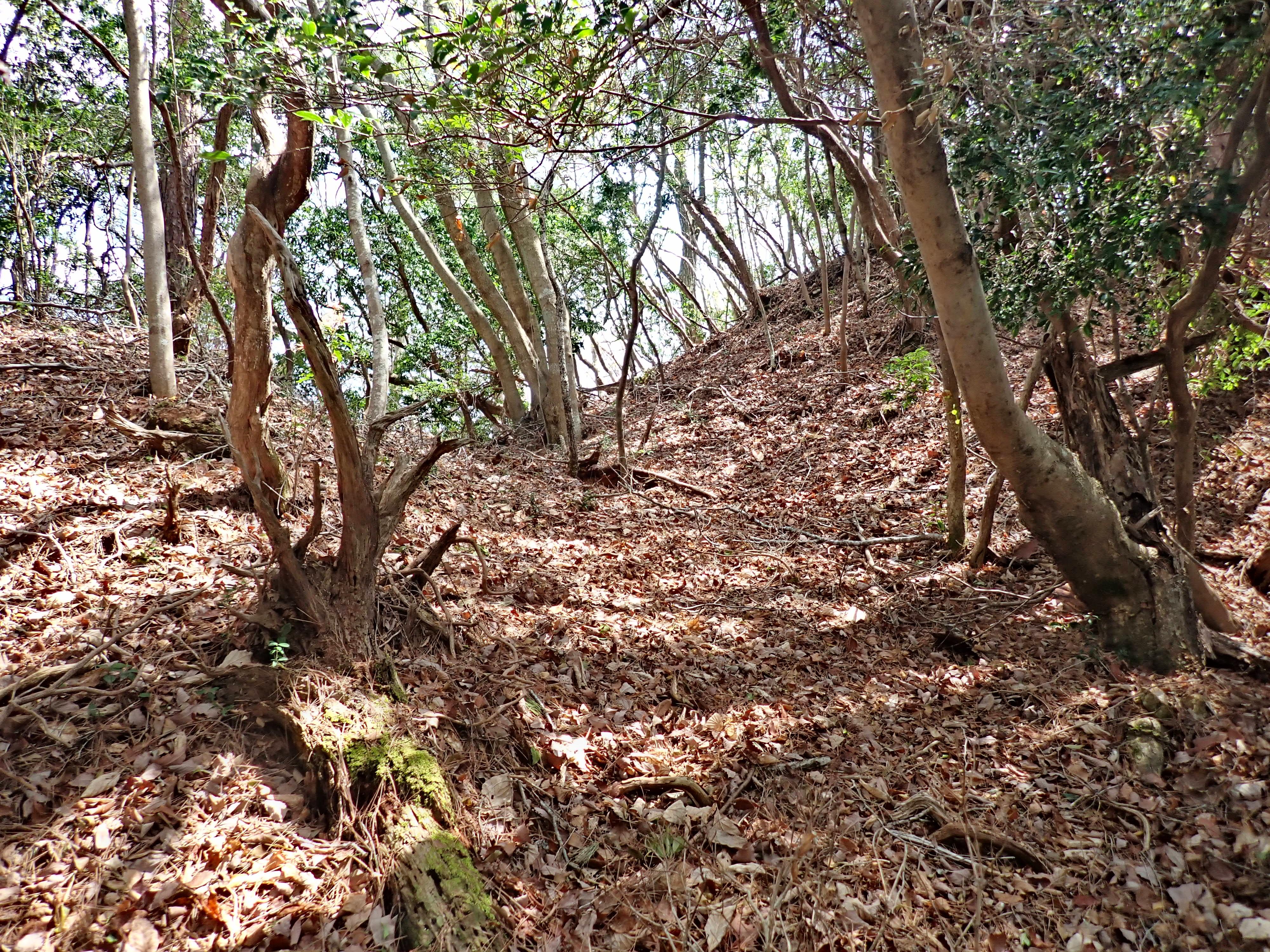 陣古屋山の城跡 / chipstar-greenさんの烏帽子岳の活動日記 | YAMAP / ヤマップ