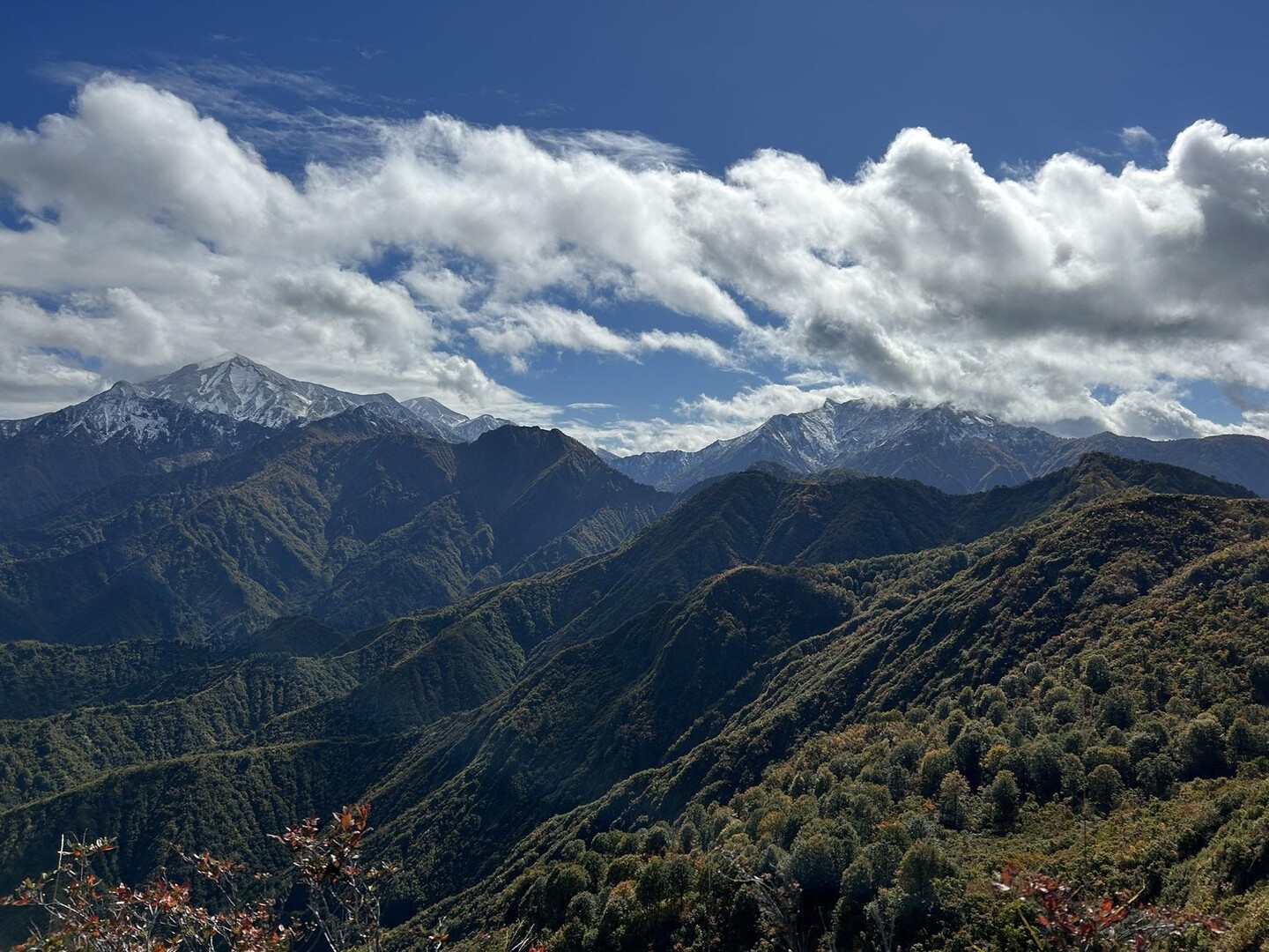 魚沼アルプス「笠倉山」 / nakkoさんのウォーキングの活動データ | YAMAP / ヤマップ
