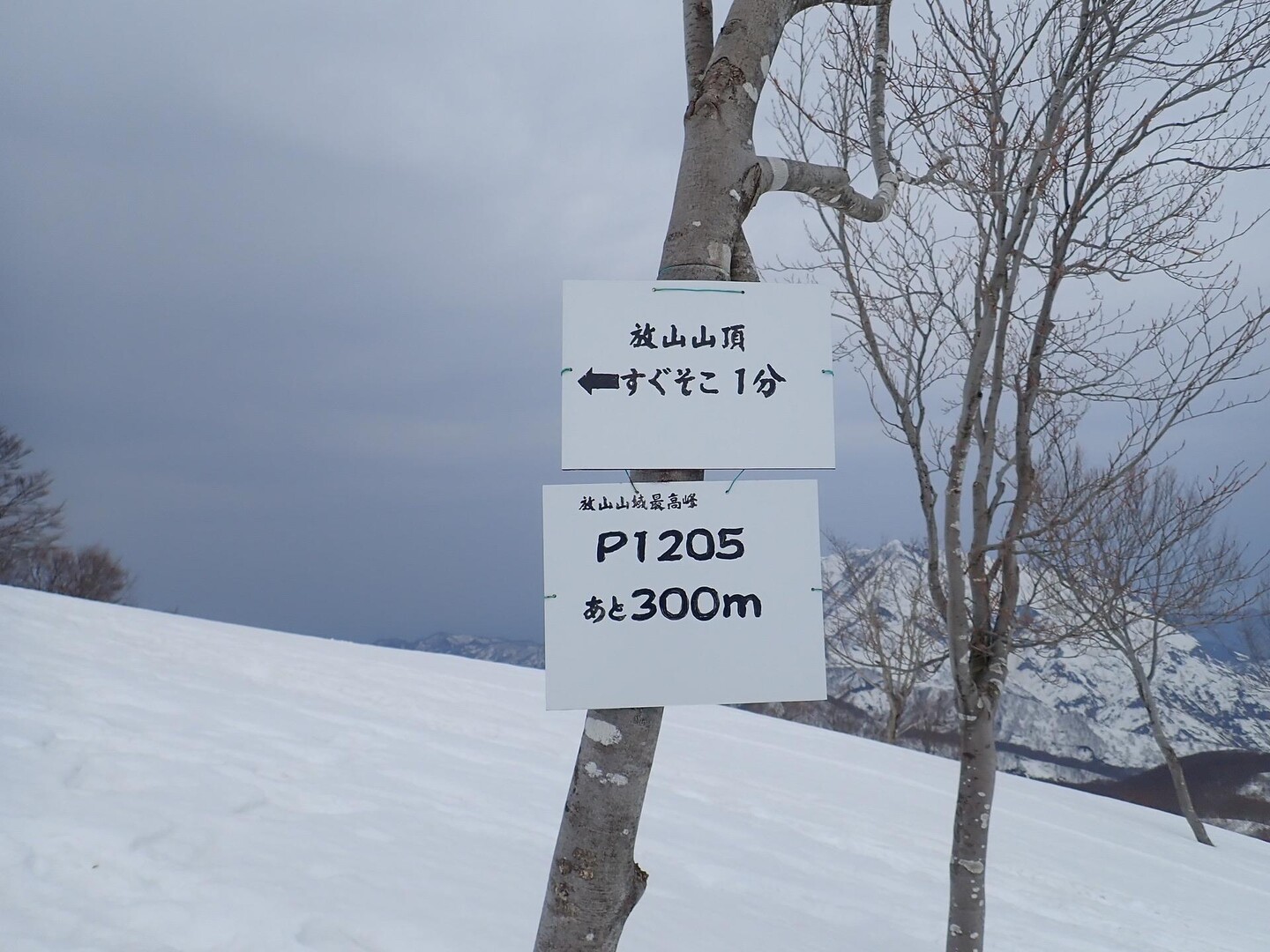 放山 / y_am_a.0811さんの鉾ヶ岳・権現岳の活動データ | YAMAP / ヤマップ