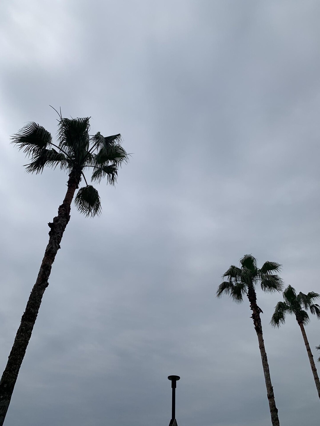 おはようございます☁️ / RNさんのモーメント | YAMAP / ヤマップ