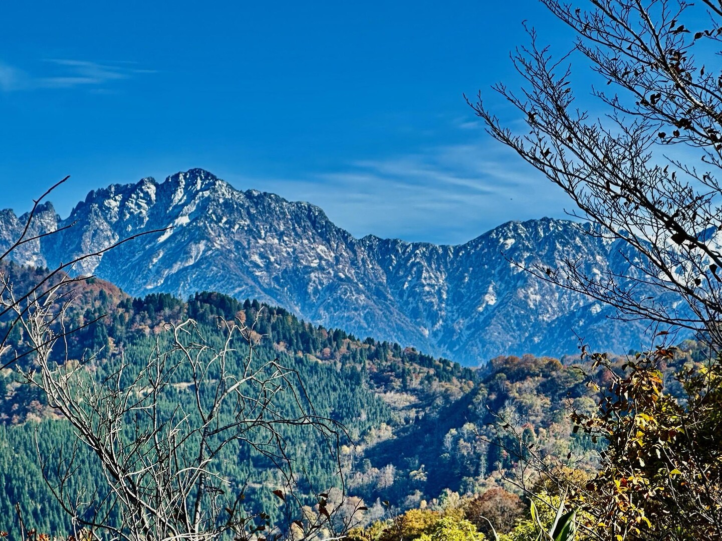 尻高山🍂 / Go Kidさんの大倉山の活動データ | YAMAP / ヤマップ