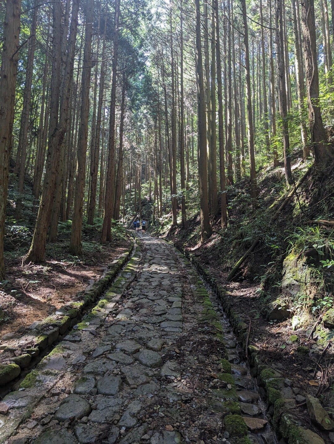 第3回 萩往還マラニック＆ウォーク 33km / quistaさんのランニングの活動データ | YAMAP / ヤマップ