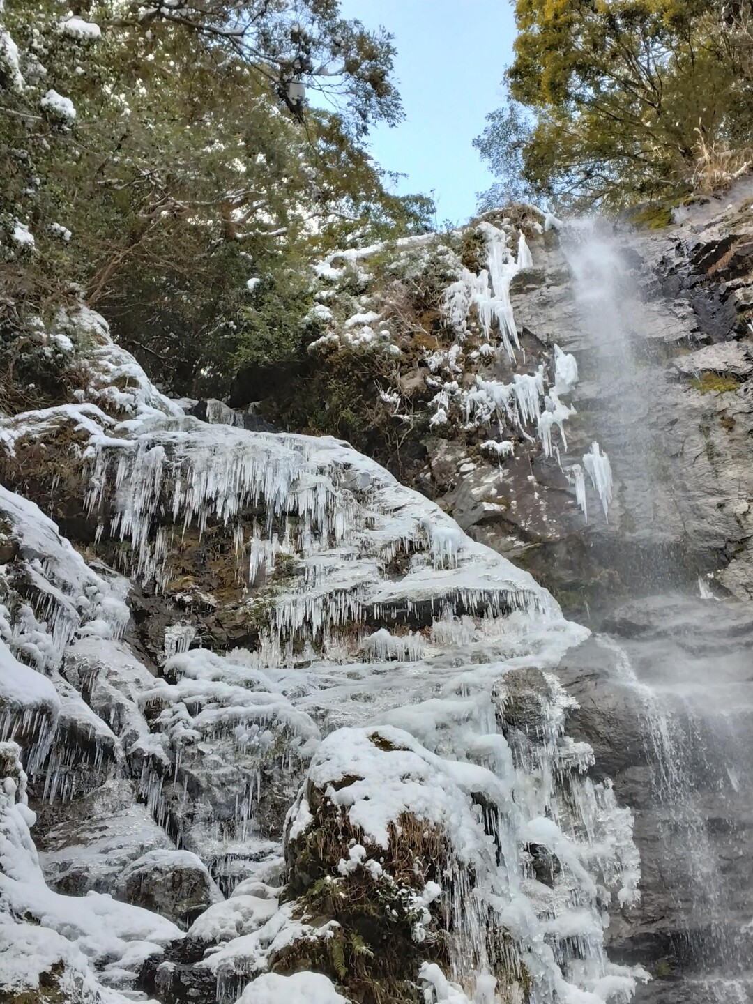 千尋の氷瀑-20250209 / malzoさんの紫尾山の活動データ | YAMAP / ヤマップ