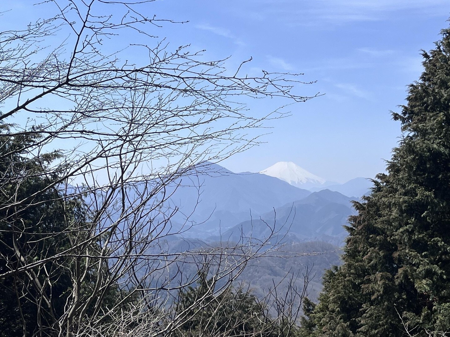 石老山〜下山後は渡し船🚢 / やまぴさんの高尾山・陣馬山・景信山の活動データ | YAMAP / ヤマップ