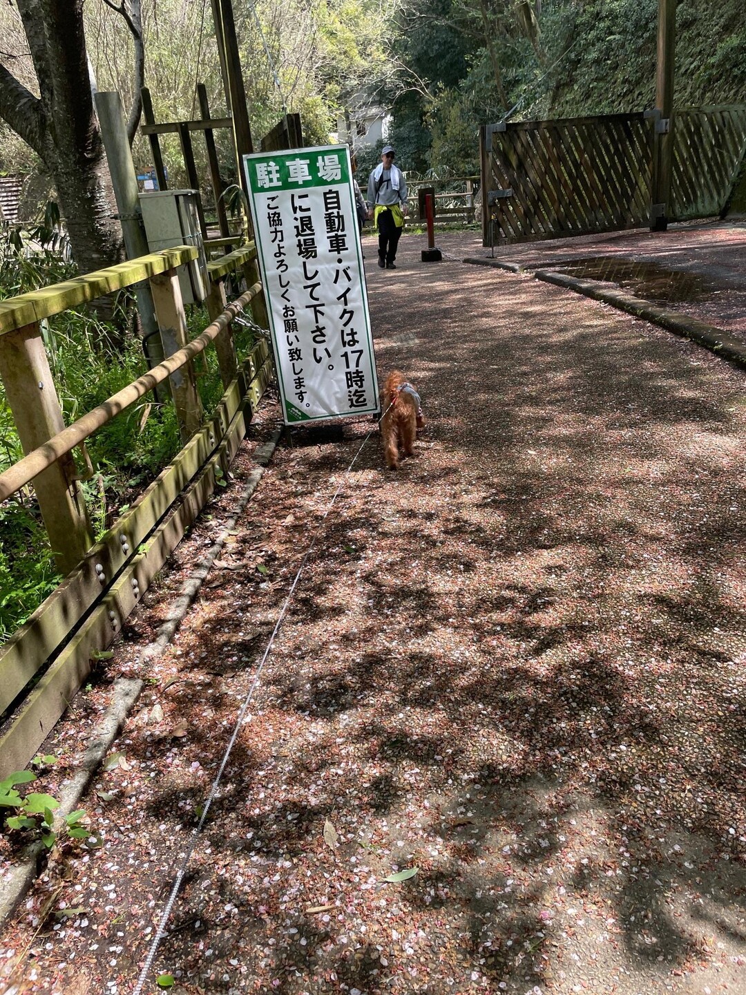旗立山 / B Gさんの生駒山・神津嶽・大原山の活動データ | YAMAP / ヤマップ